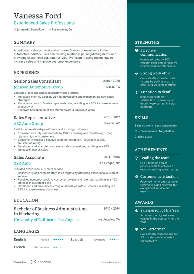 5 Sales Professional Resume Examples & Guide for 2023