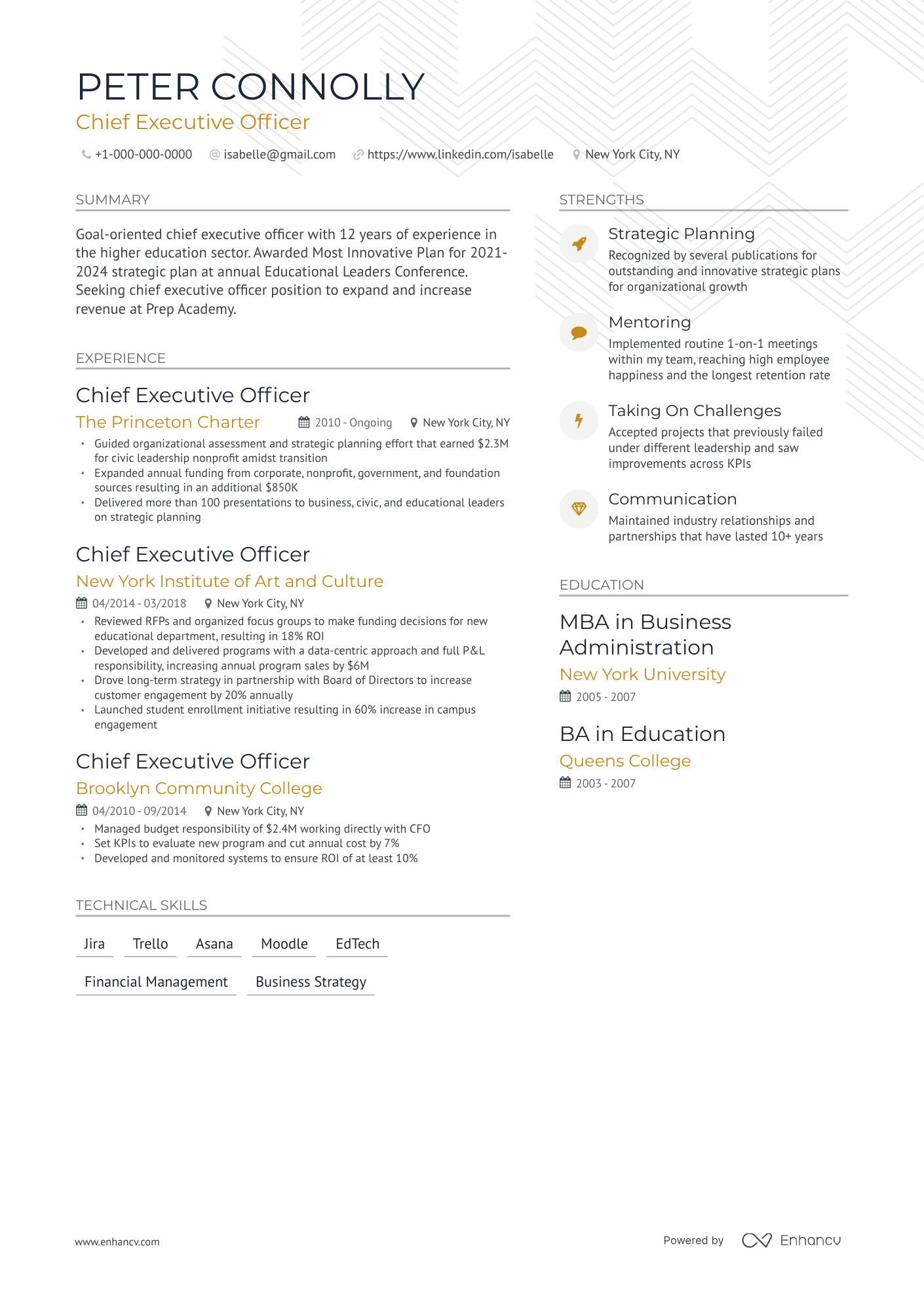 5 Chief Executive Officer Resume Examples & Guide for 2023