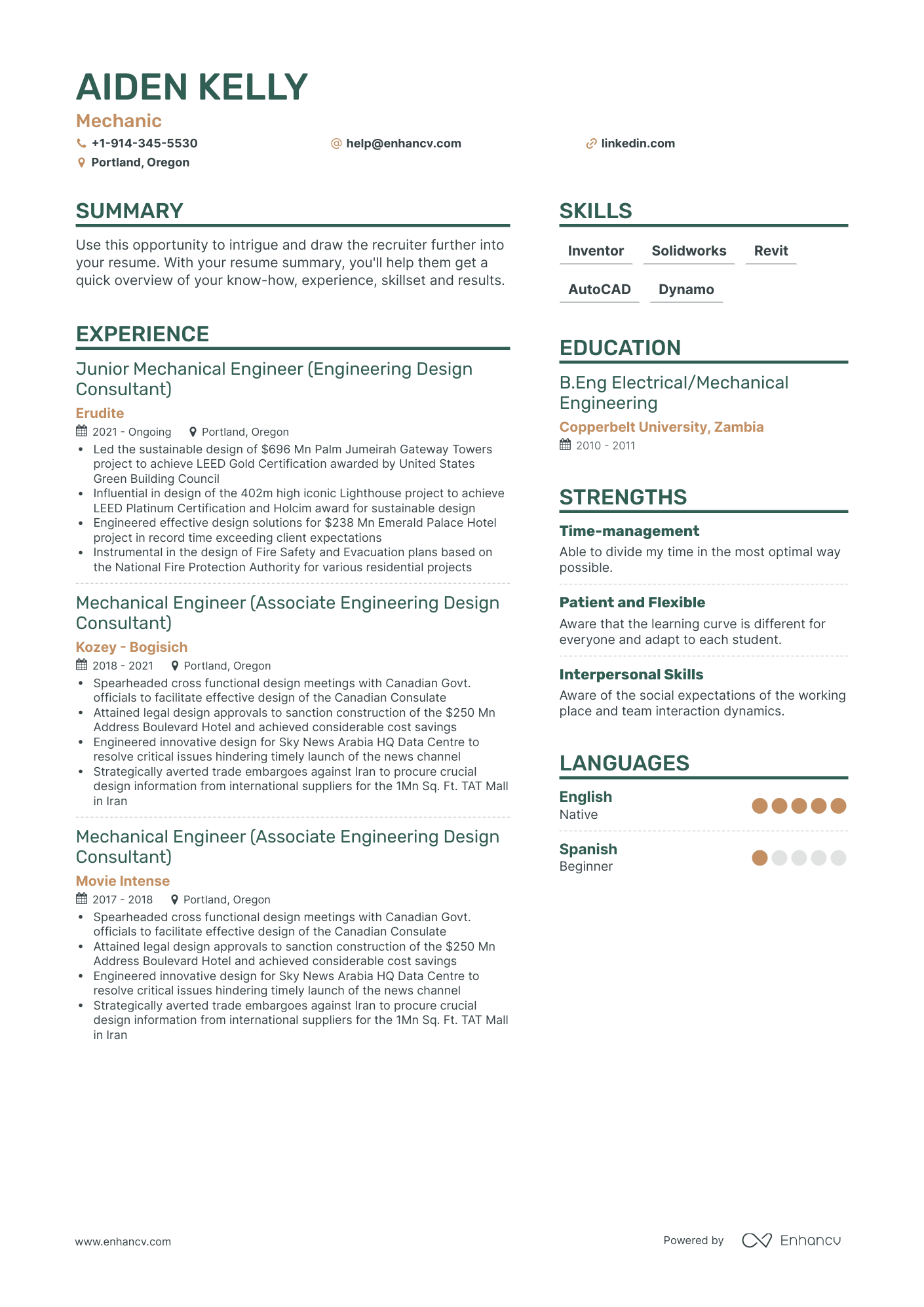 Mechanic Resume Examples | Pro Tips Featured | Enhancv (Layout, Skills ...
