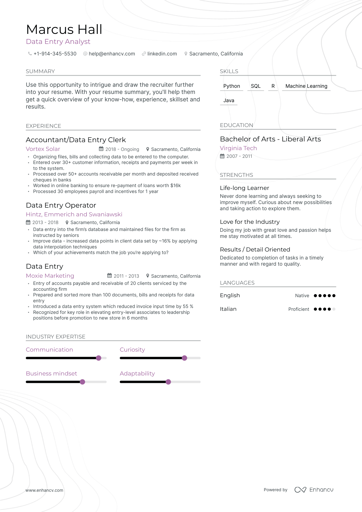 Data Entry Analyst Resume Examples & Guide for 2023 (Layout, Skills ...