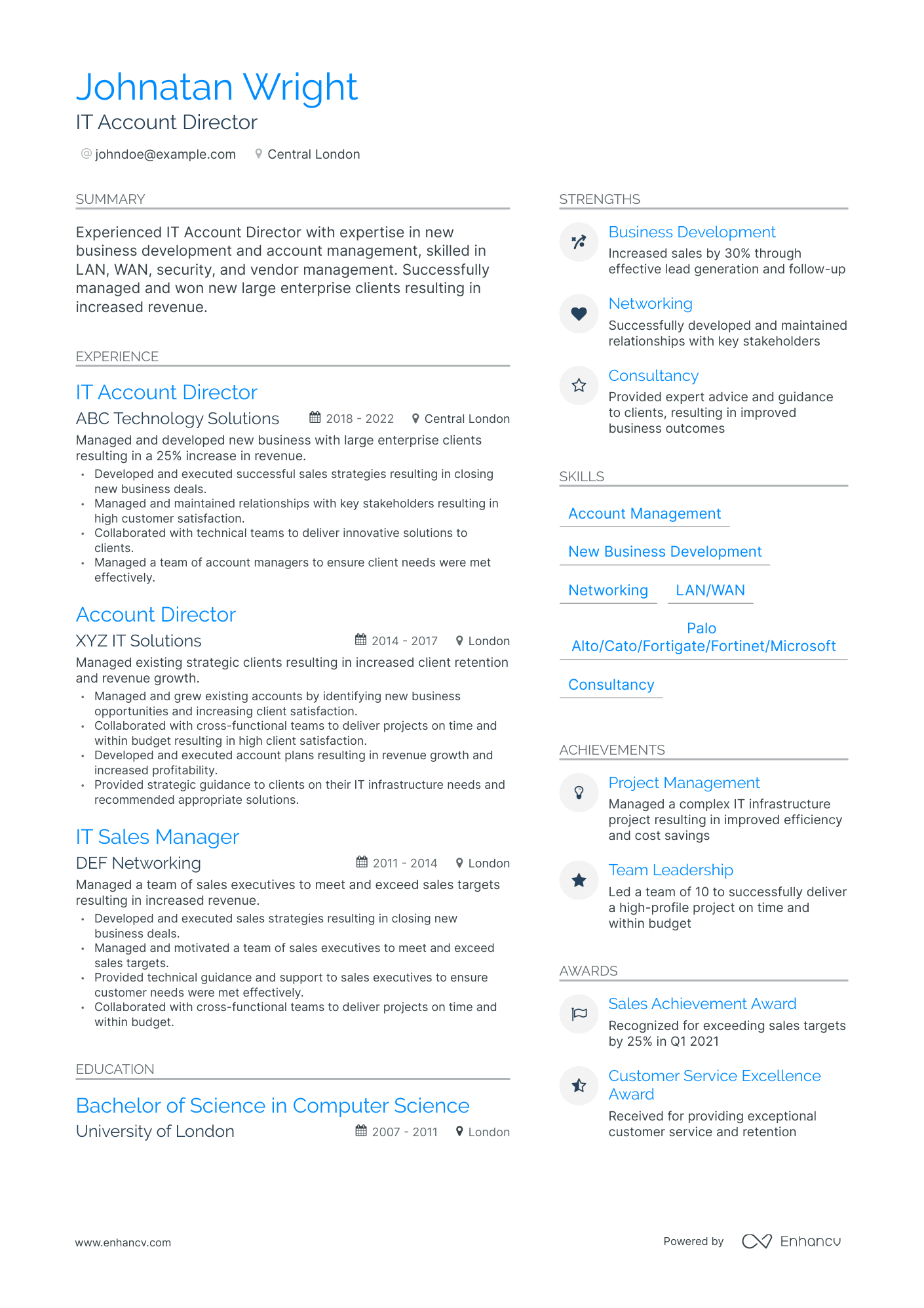 5 Account Director Resume Examples & Guide for 2024