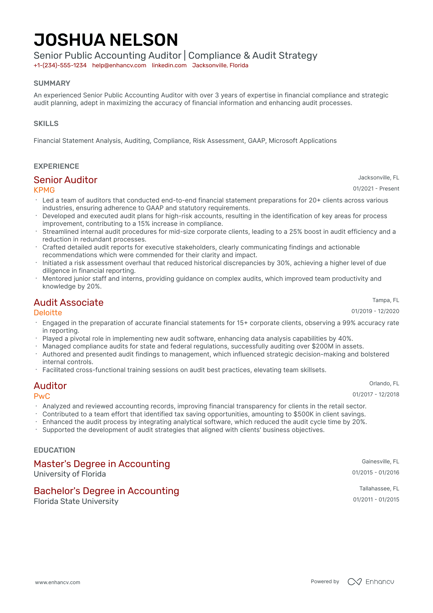 10 Public Accounting Auditor Resume Examples & Guide for 2026
