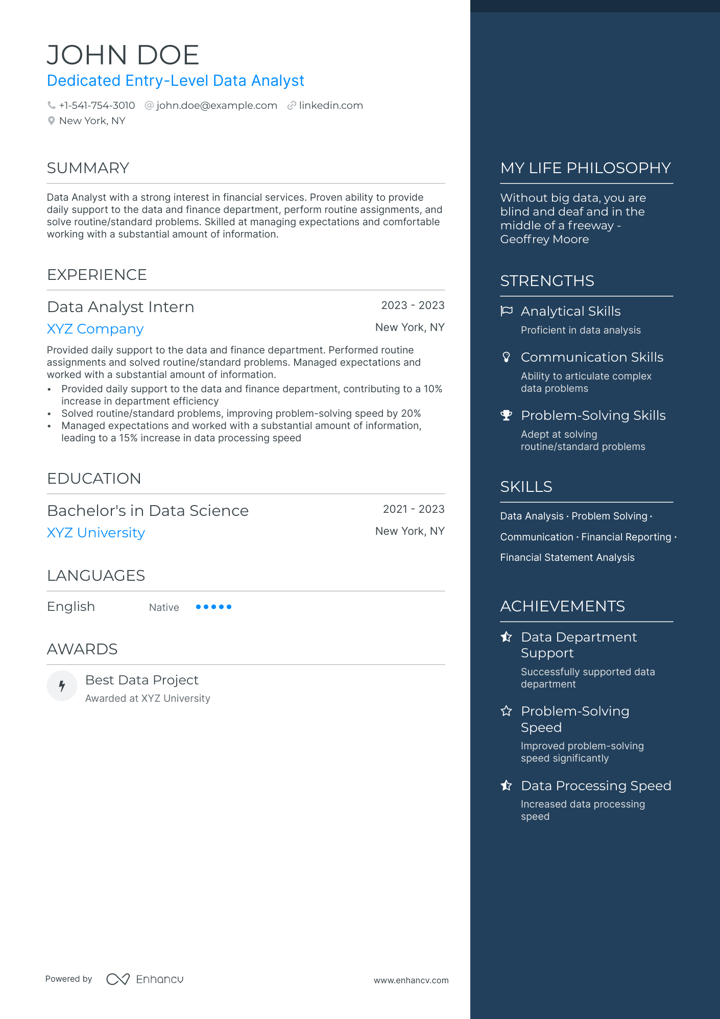 5 Entry-Level Data Analyst Resume Examples & Guide for 2024