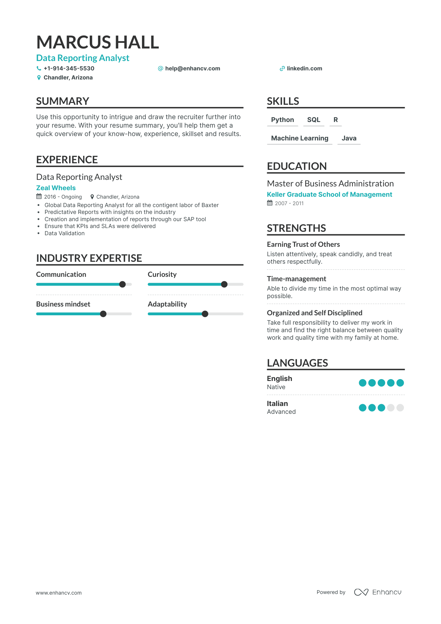 Data Reporting Analyst Resume Examples & Guide for 2023 (Layout, Skills ...