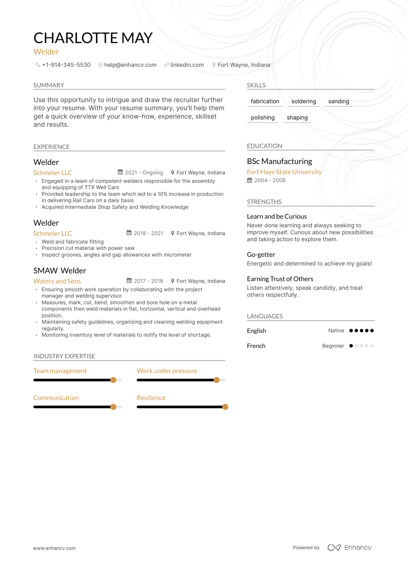 Welder Resume Examples Guide & Pro Tips | Enhancv (Layout, Skills ...
