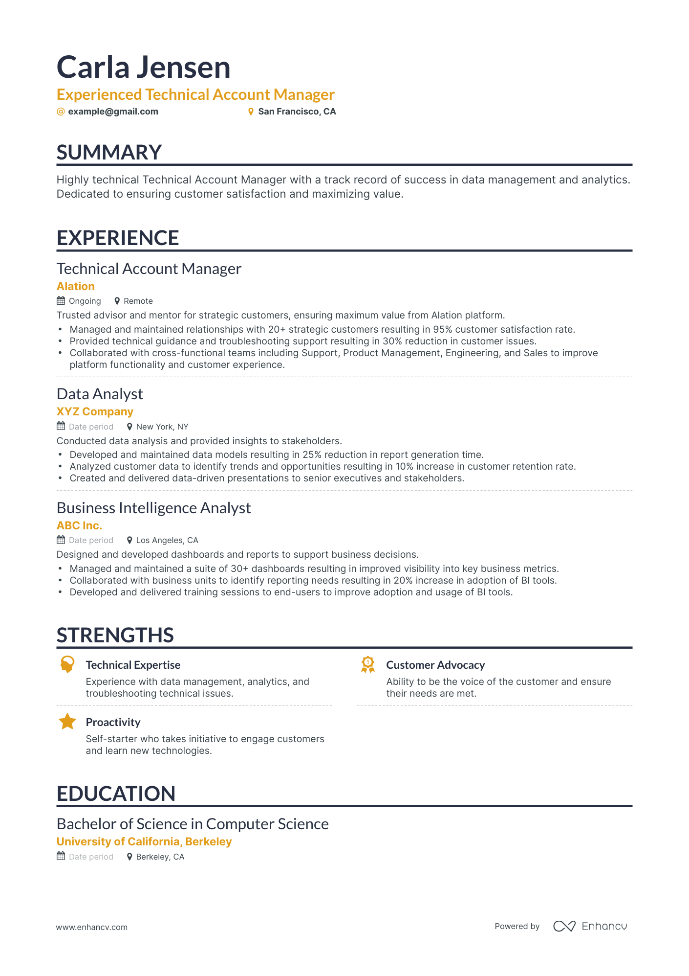 5 Technical Account Manager Resume Examples & Guide for 2024