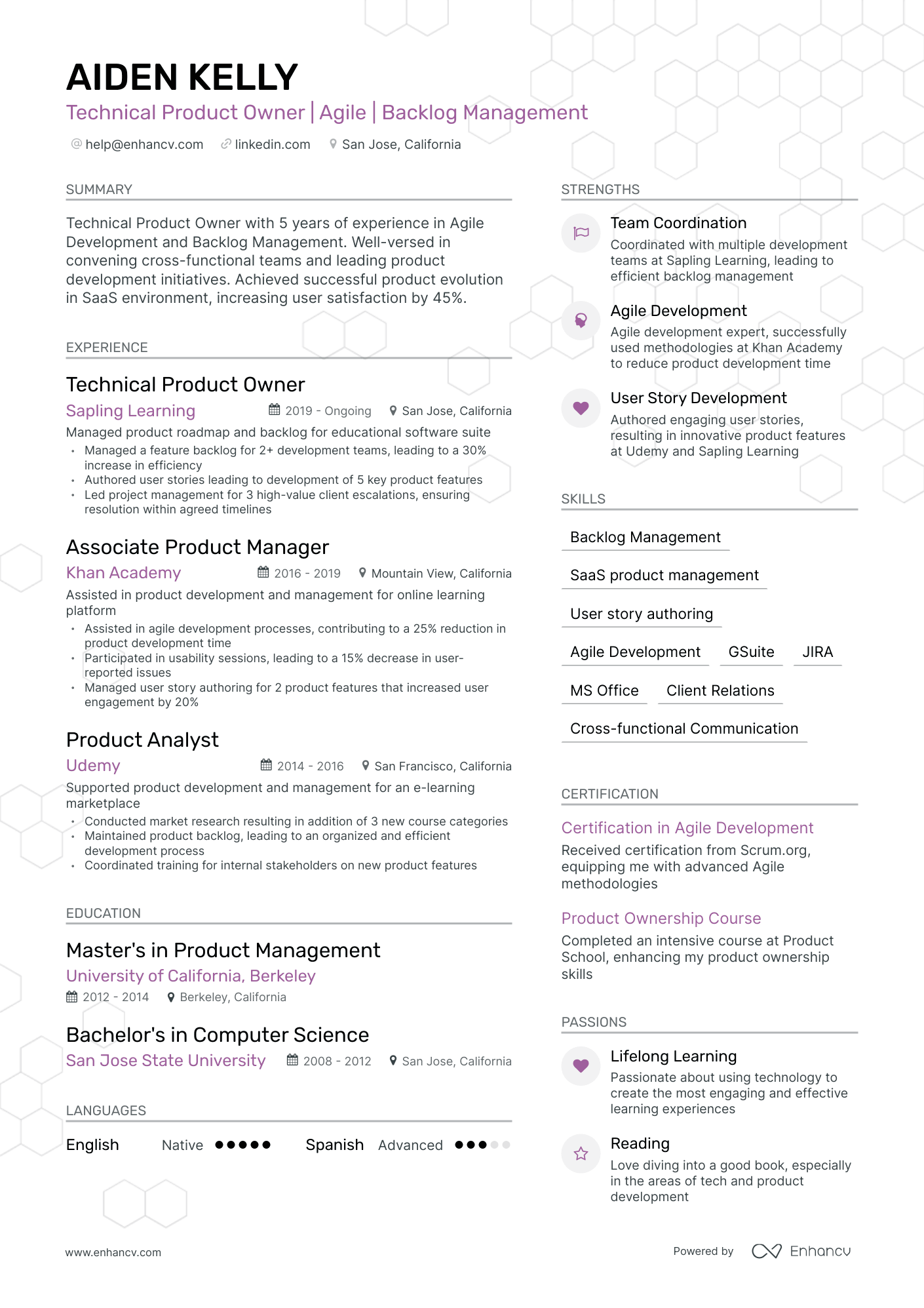 5 Technical Product Owner Resume Examples & Guide for 2024