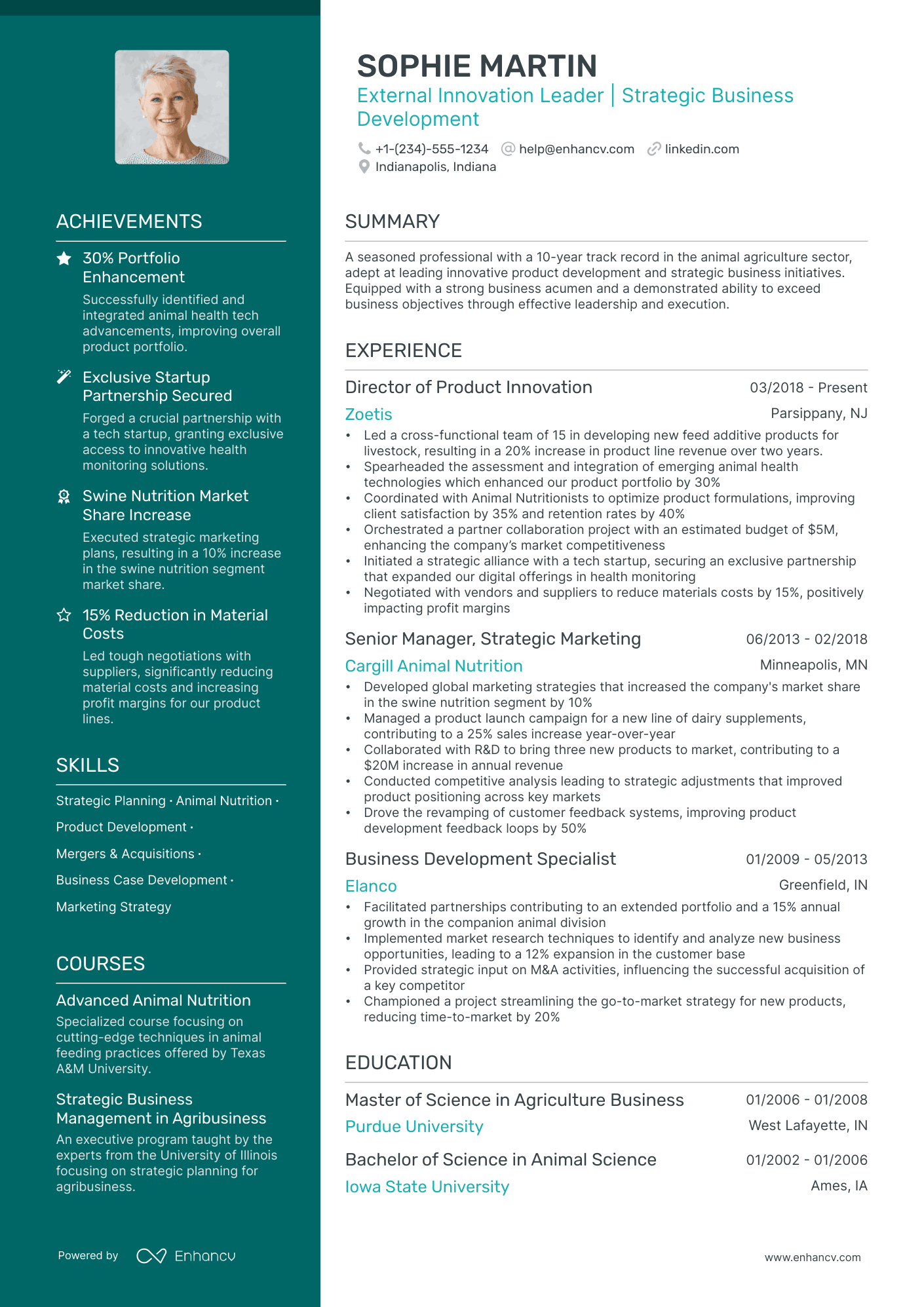 5 Executive Manager Resume Examples & Guide for 2024