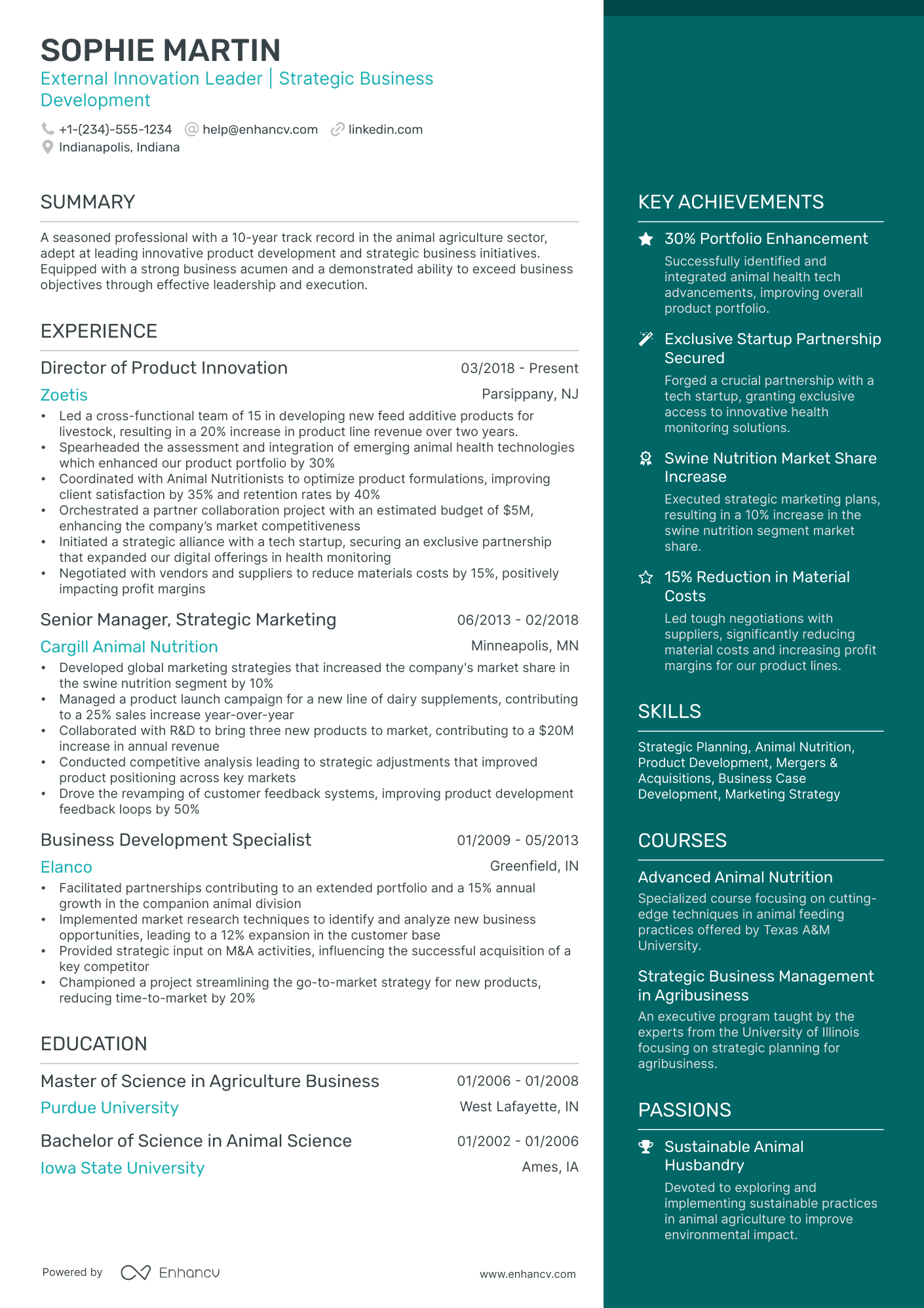 10 Executive Manager Resume Examples, Templates & Guide for 2026