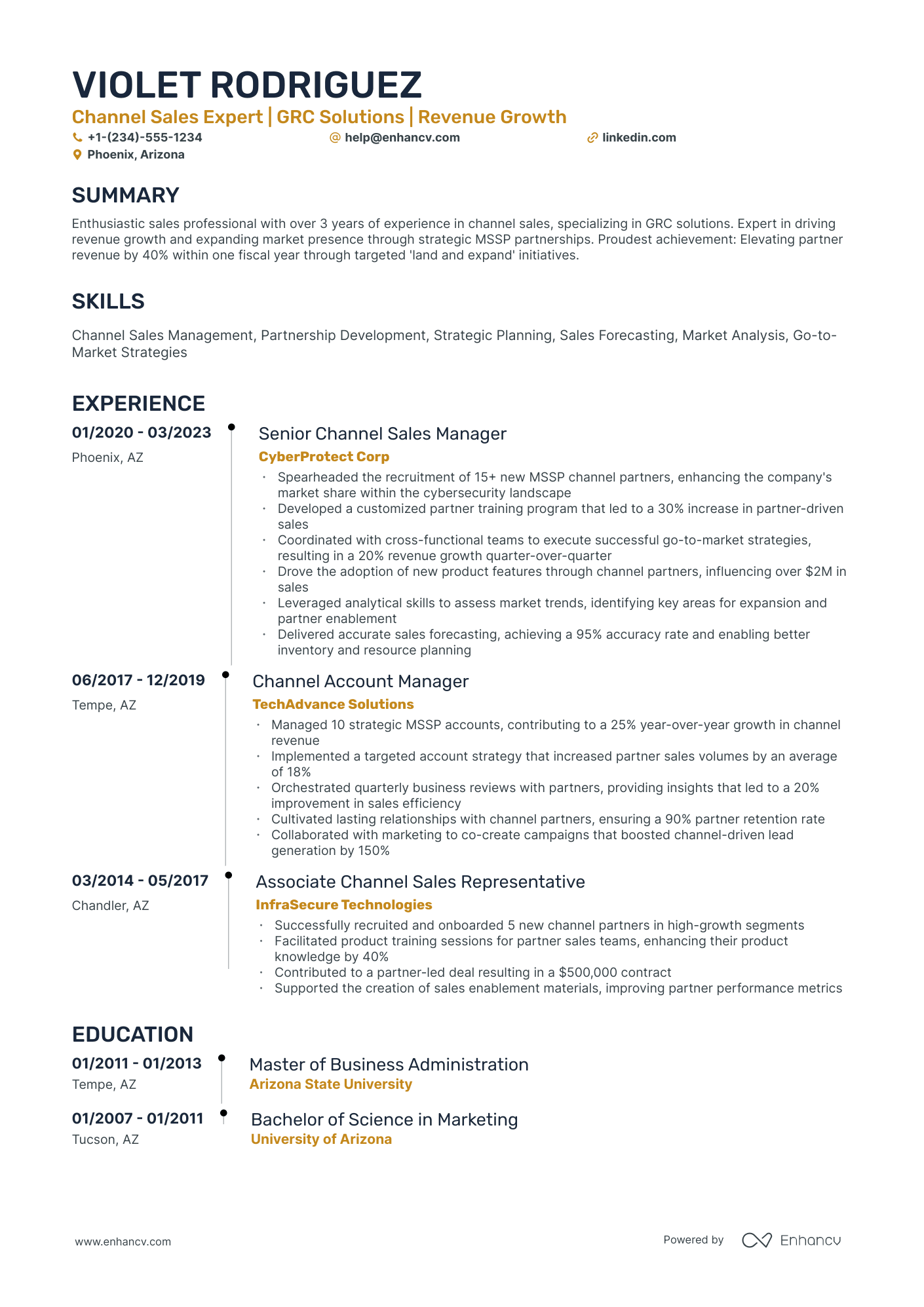 10 Channel Sales Manager Resume Examples & Guide for 2025