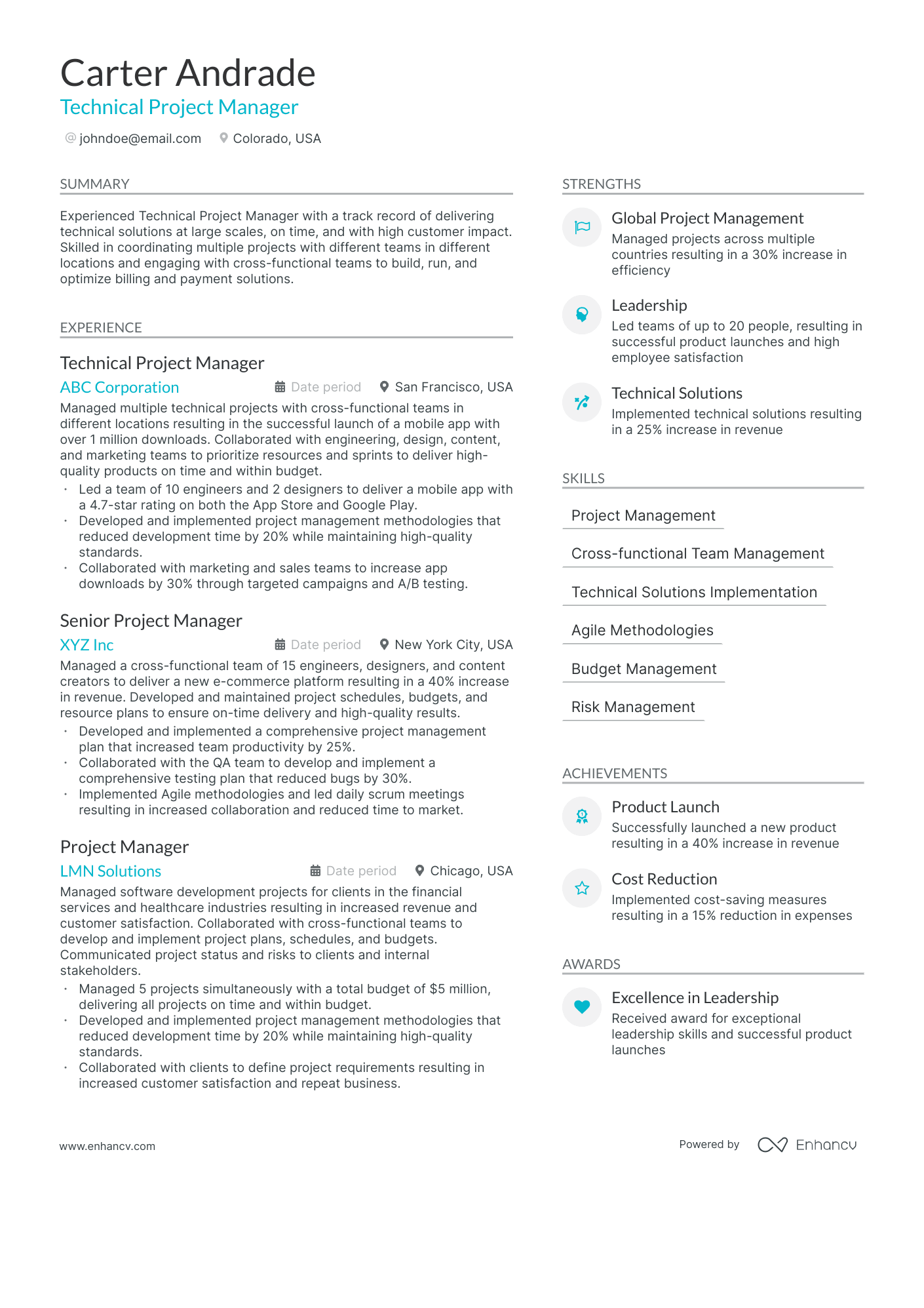 5 Technical Project Manager Resume Examples & Guide for 2024