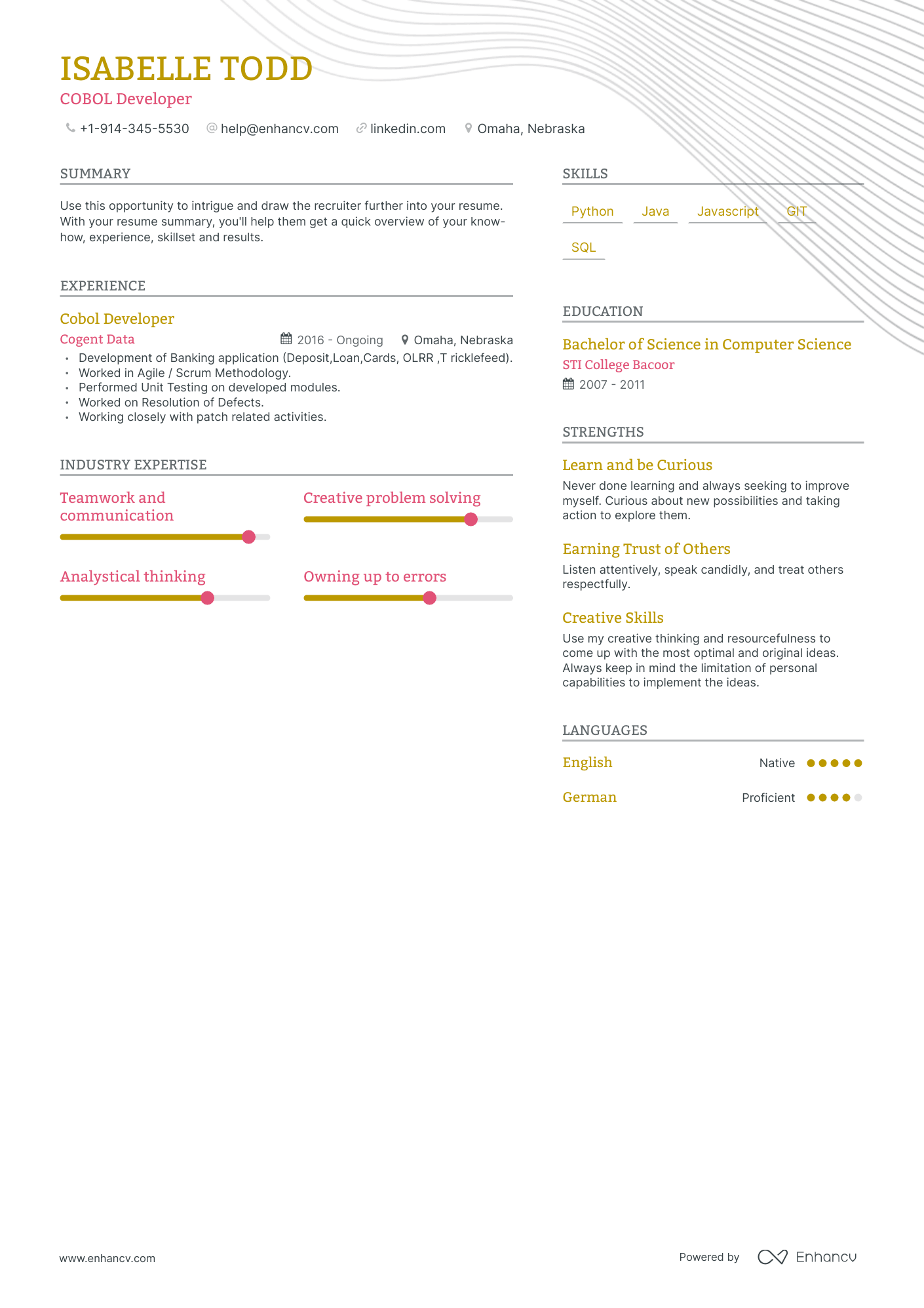 COBOL Developer Resume Examples & Guide for 2023 (Layout, Skills ...