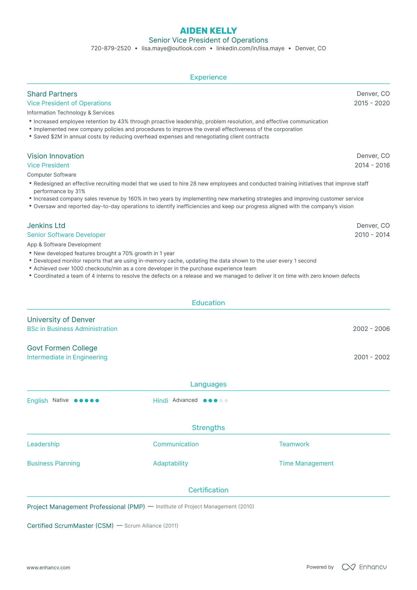 Vice President Resume Samples + Expert-Driven Tips (Layout, Skills ...