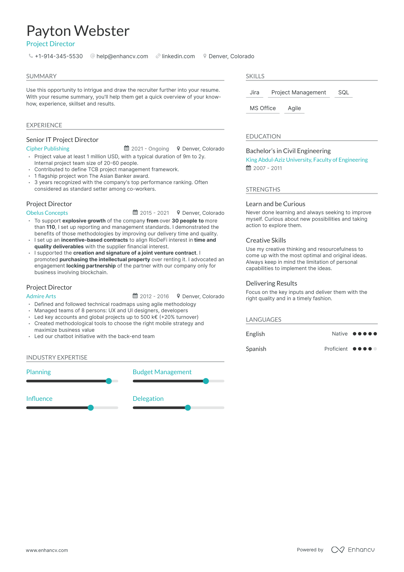 Project Director Resume Examples & Guide for 2023 (Layout, Skills ...