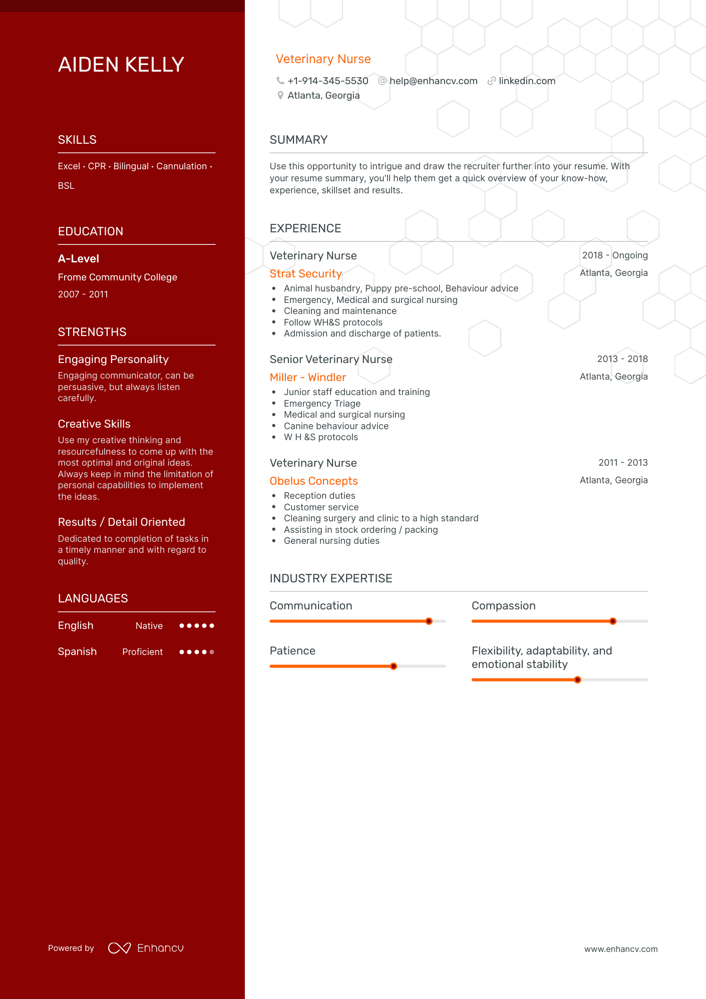 Veterinary Nurse Resume Examples & Guide for 2023 (Layout, Skills ...