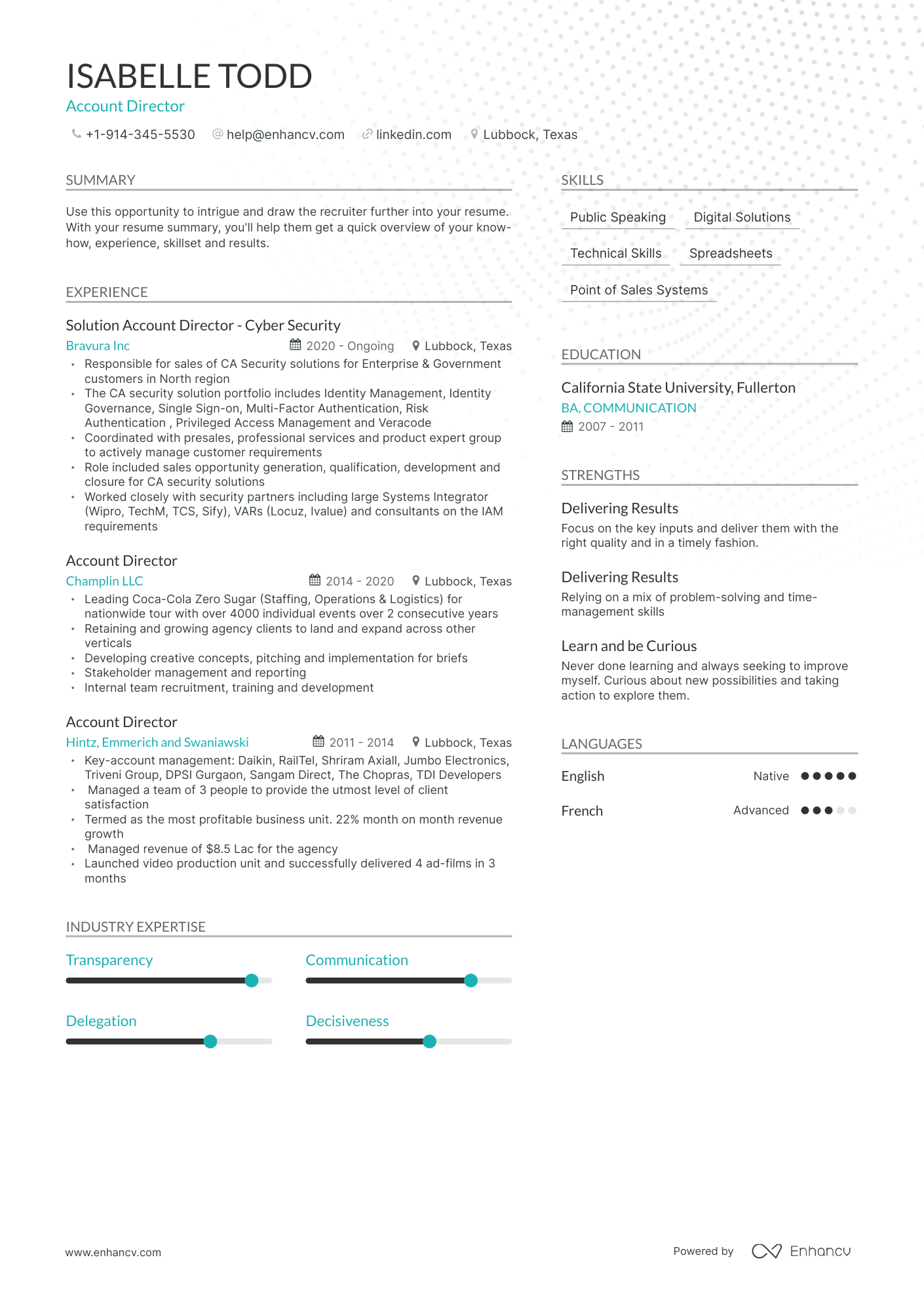 Account Director Resume Examples & Guide for 2023 (Layout, Skills ...