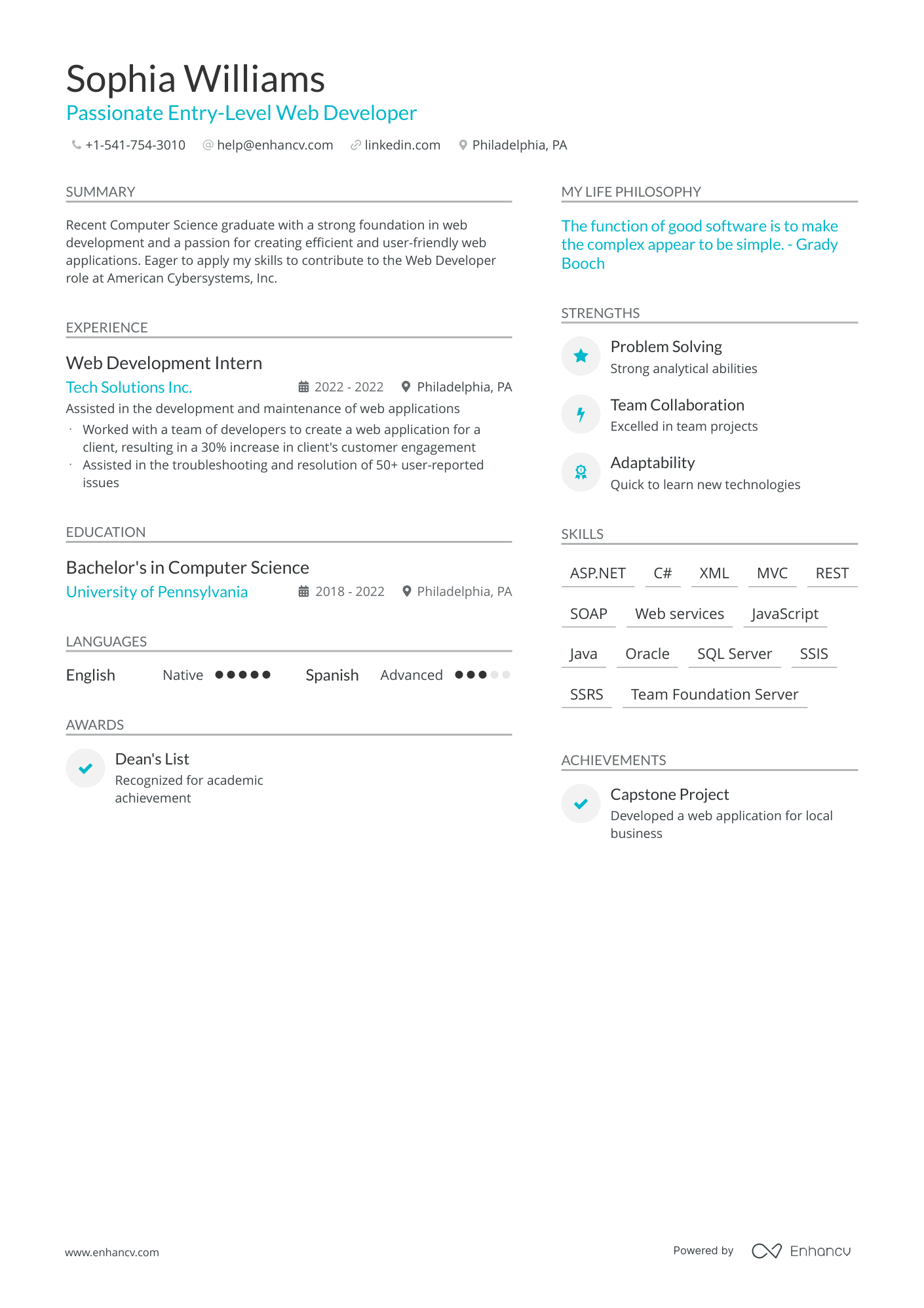 5 Entry-Level IT Resume Examples & Guide for 2024