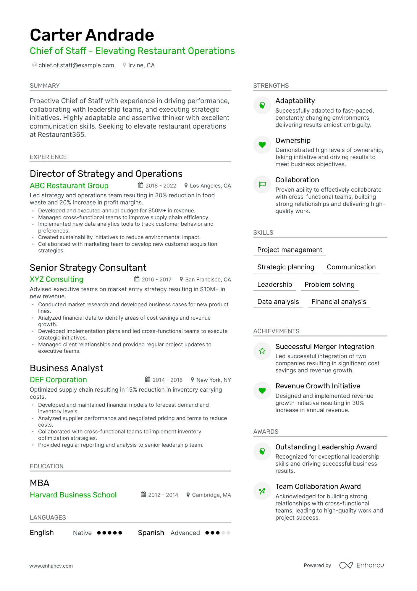 17 Executive Resume Examples & Guide for 2024