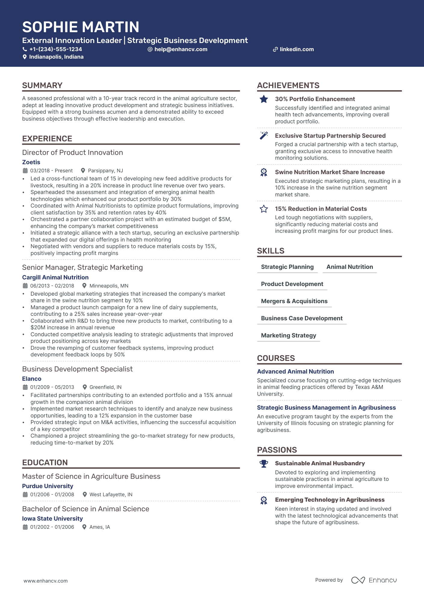 5 Executive Manager Resume Examples & Guide for 2024