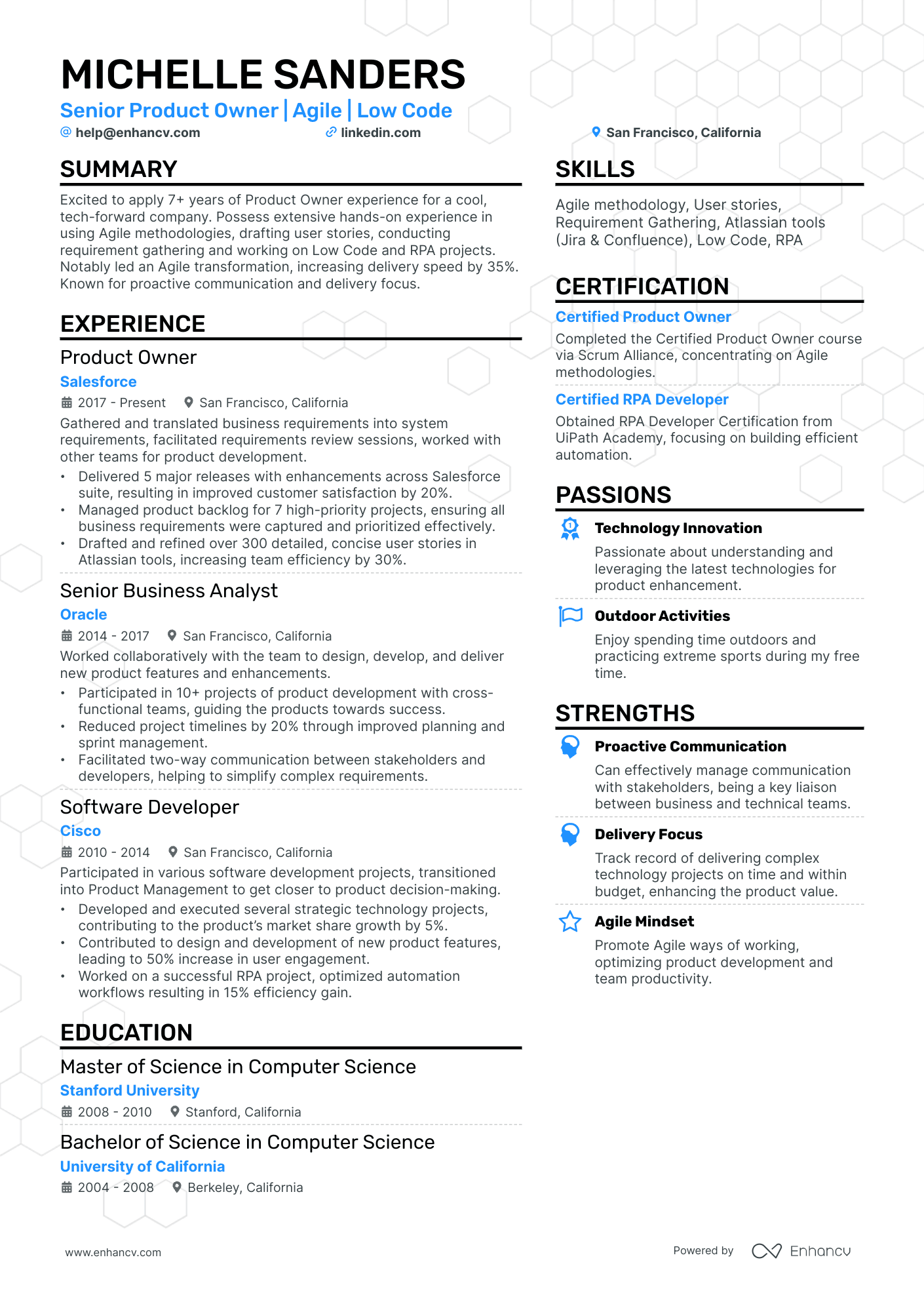 10 Senior Product Owner Resume Examples & Guide for 2026