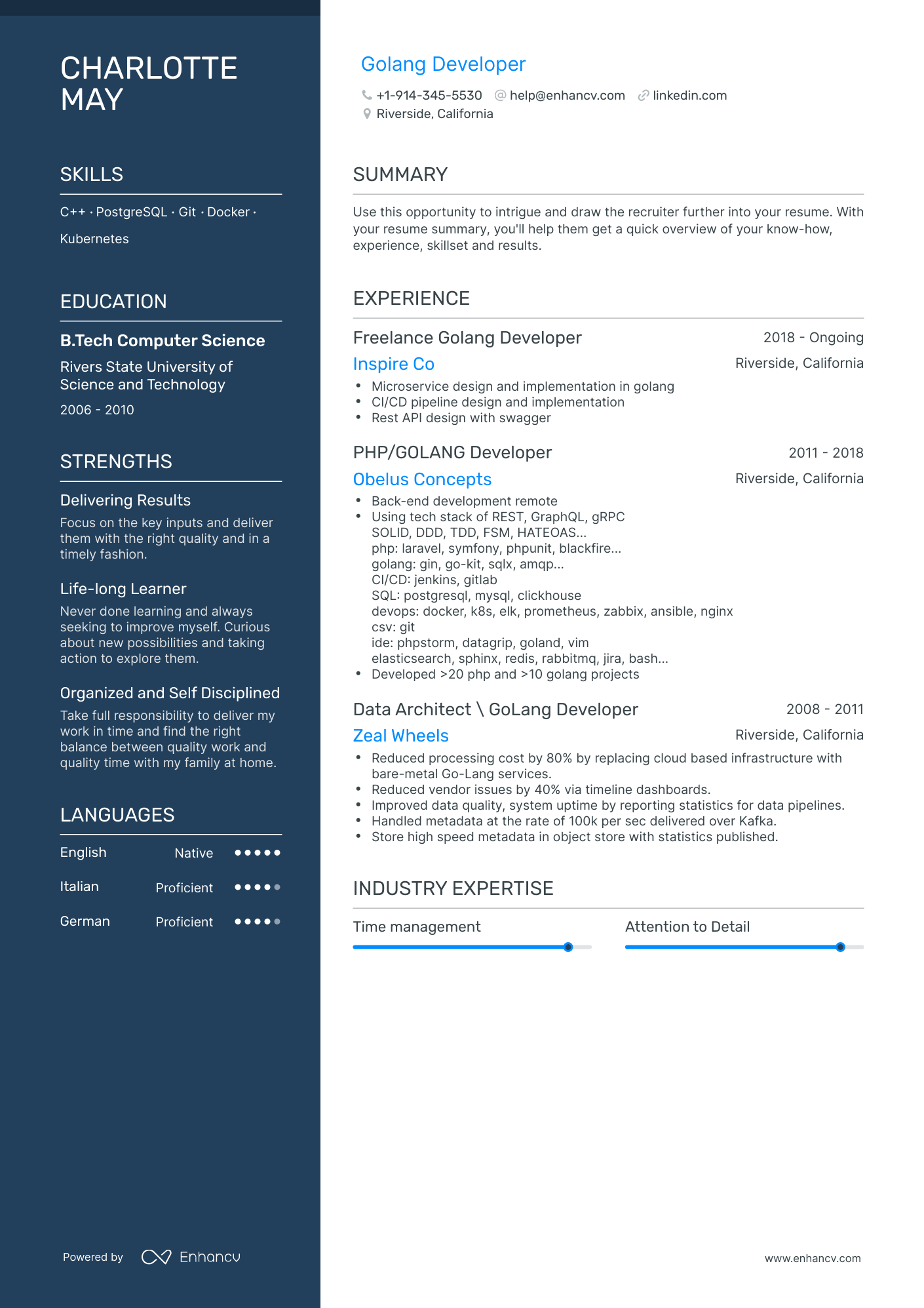 Job-Winning Golang Developer Resume Examples, Samples & Tips | Enhancv ...