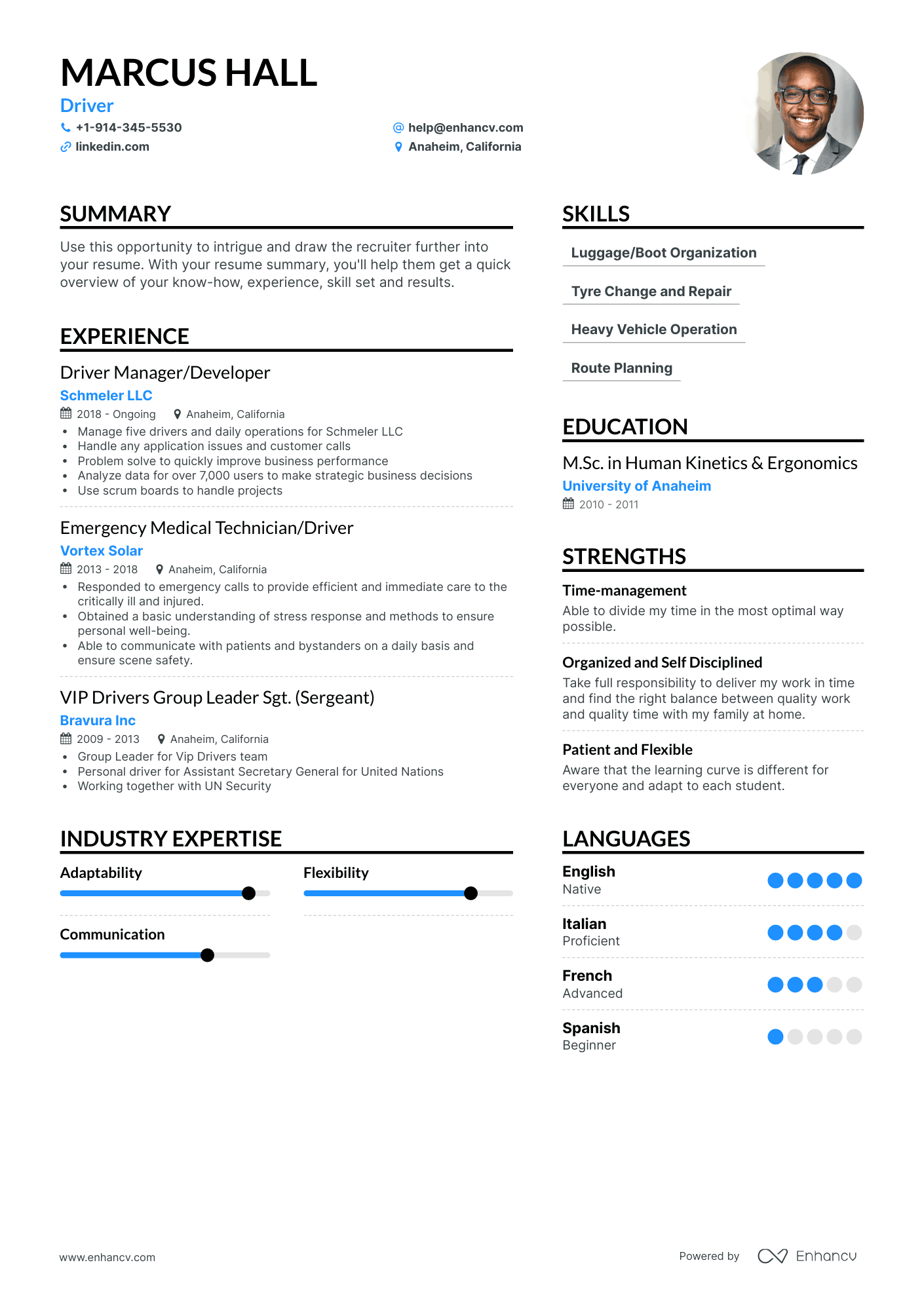 Job-Winning Driver Resume Examples, Samples & Tips | Enhancv (Layout ...