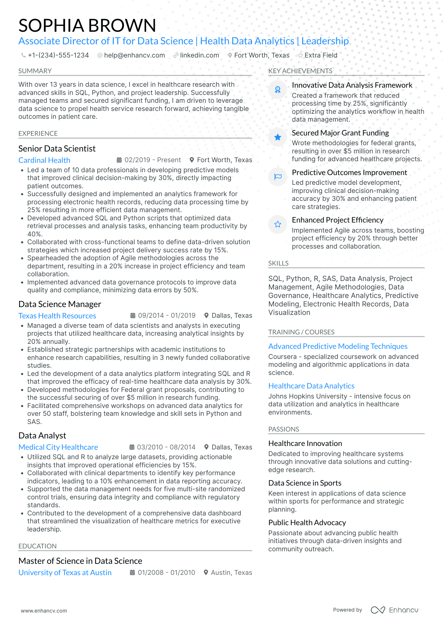 18 IT Director Resume Examples & Guide for 2026