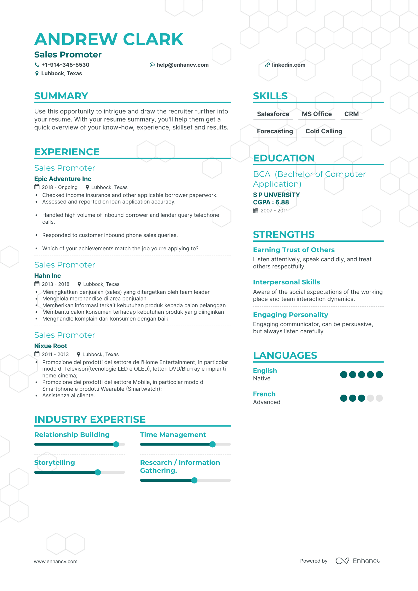 Sales Promoter Resume Examples & Guide for 2023 (Layout, Skills ...