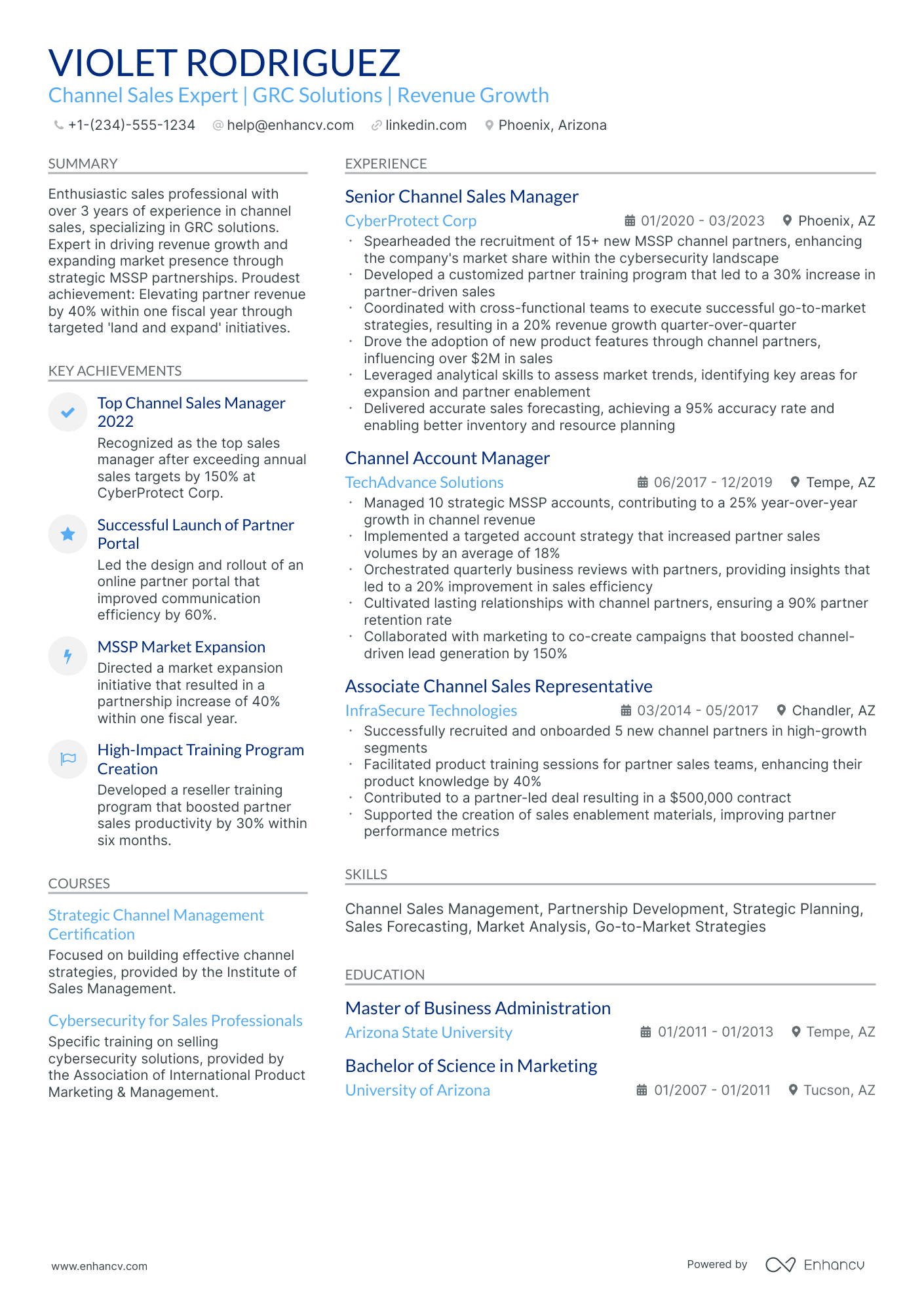 10 Channel Sales Manager Resume Examples & Guide for 2025