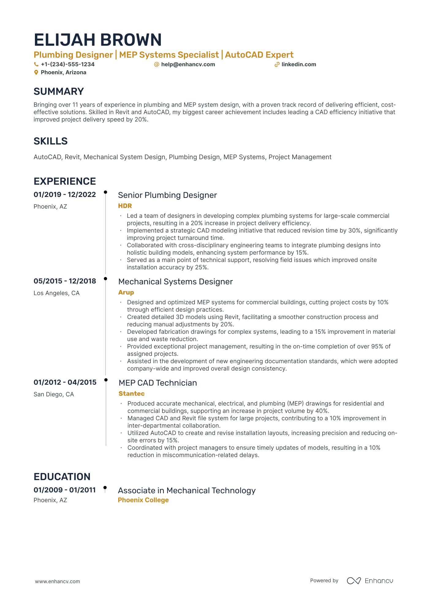10 Plumbing Designer Resume Examples & Guide for 2026