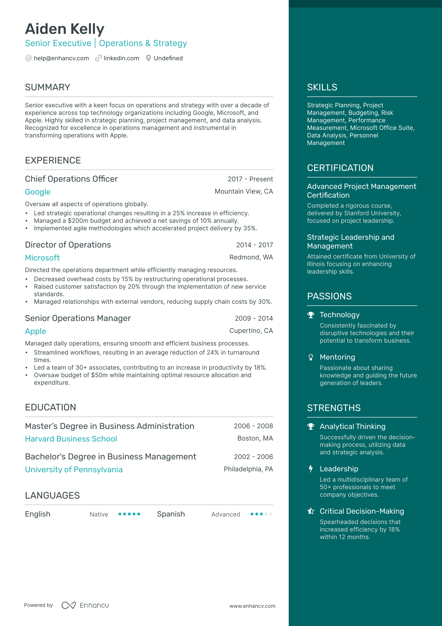 10 Board of Directors Resume Examples & Guide for 2026