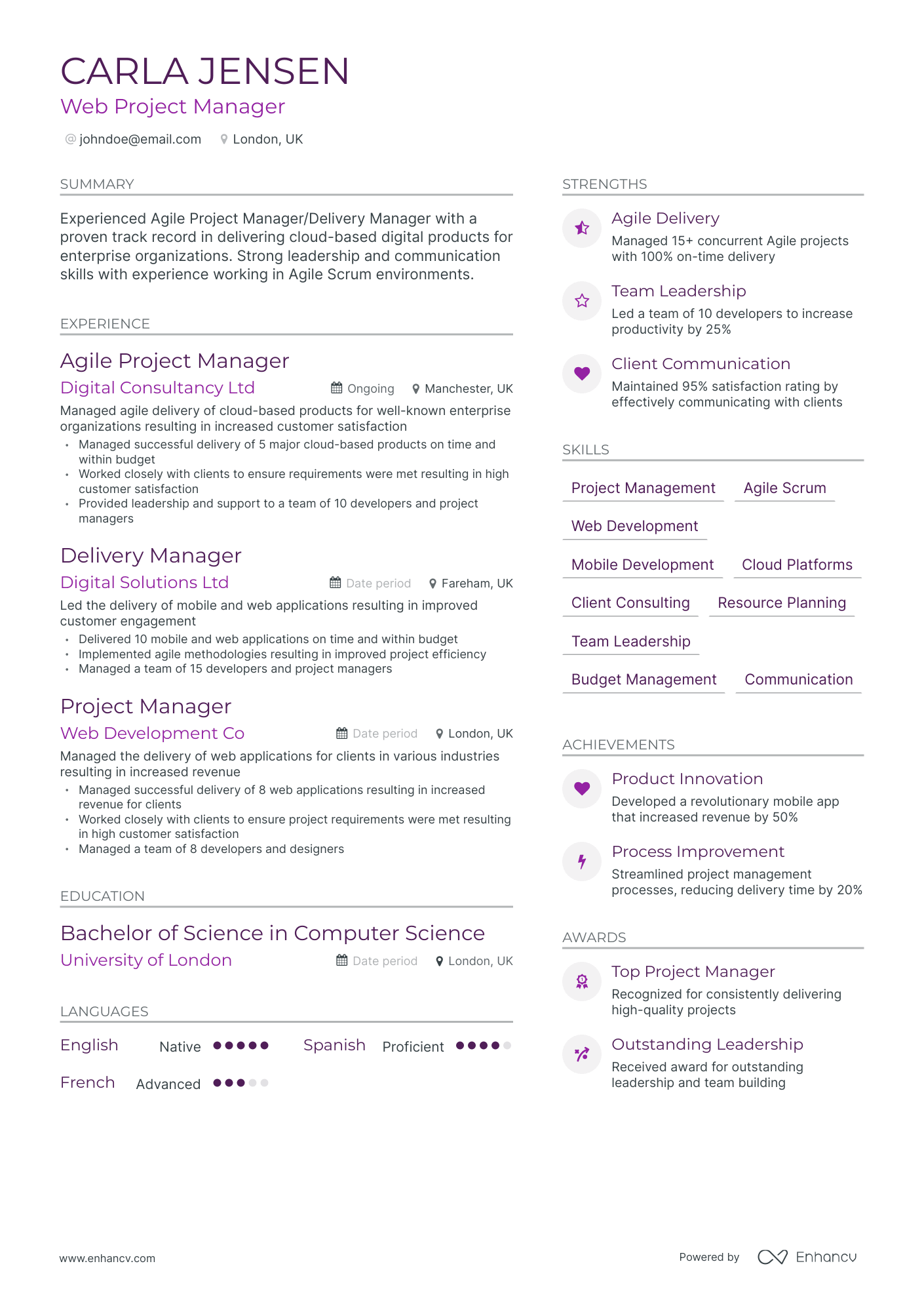 5 Web Project Manager Resume Examples & Guide for 2024