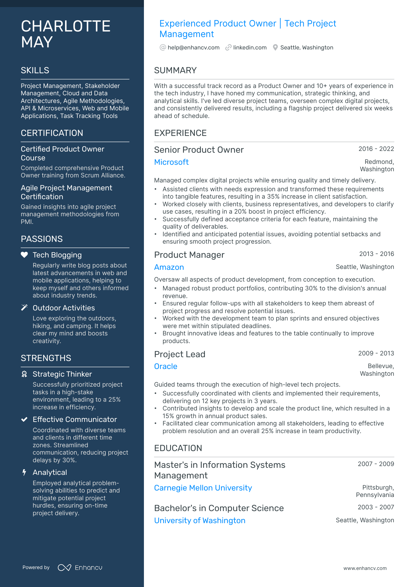 10 Product Owner Resume Examples & Guide for 2025