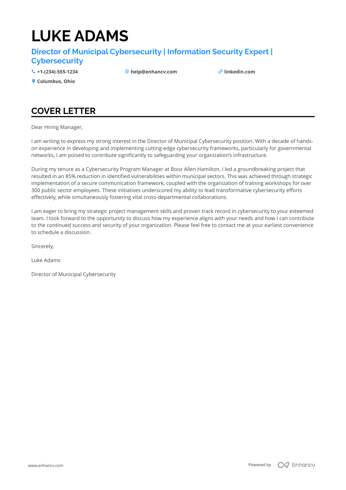 5 Professional IT Director Cover Letter Examples and Template for 2025 ...
