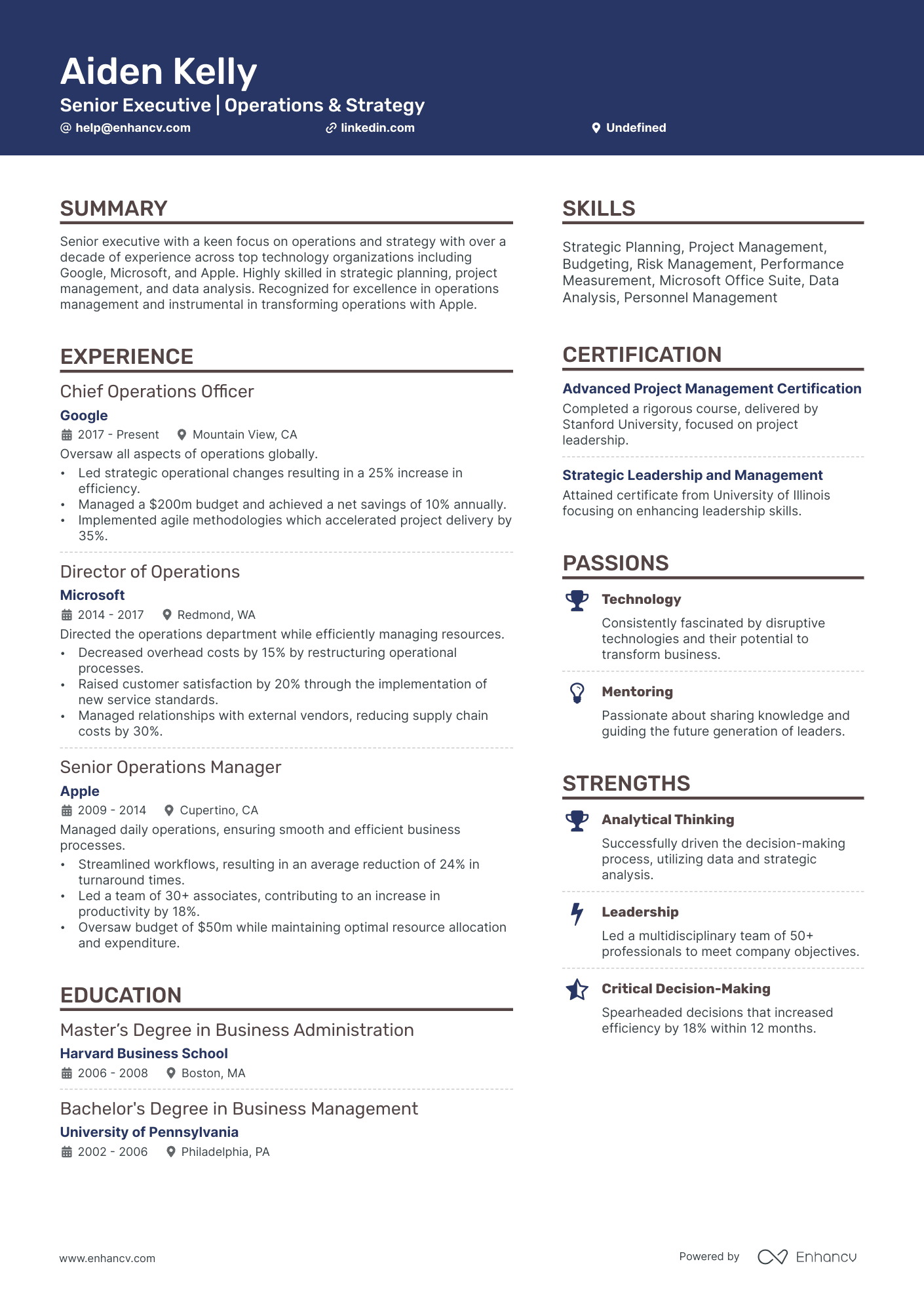 10 Board of Directors Resume Examples & Guide for 2026