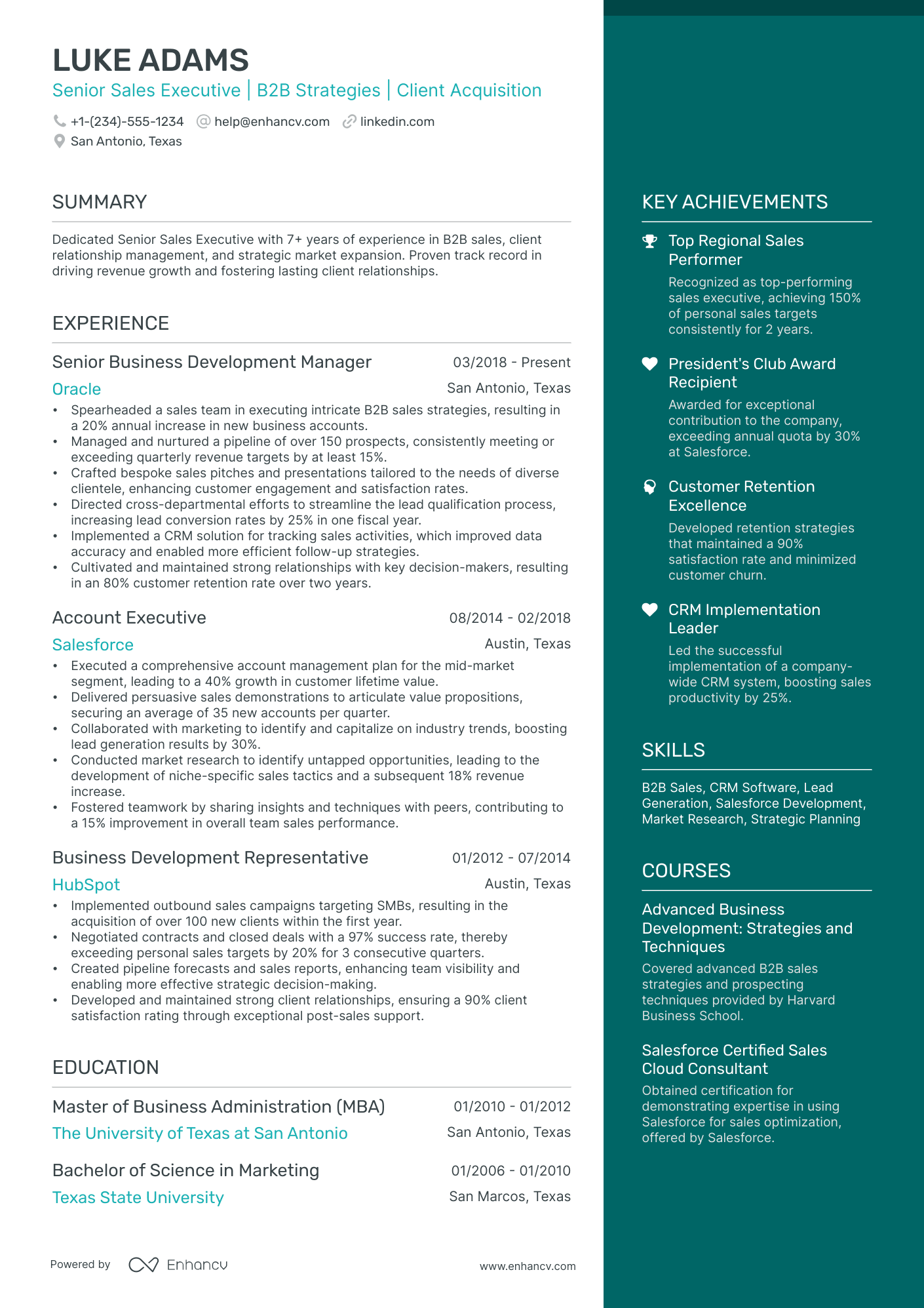 10 Senior Sales Executive Resume Examples & Guide for 2026