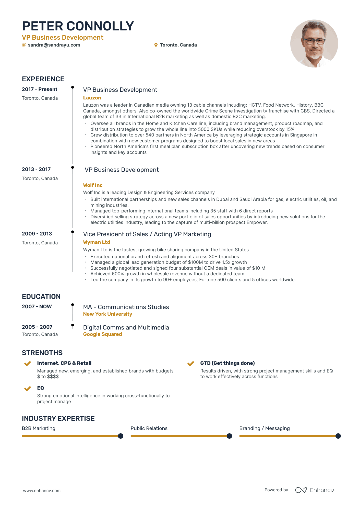 5 VP Business Development Resume Examples & Guide for 2024