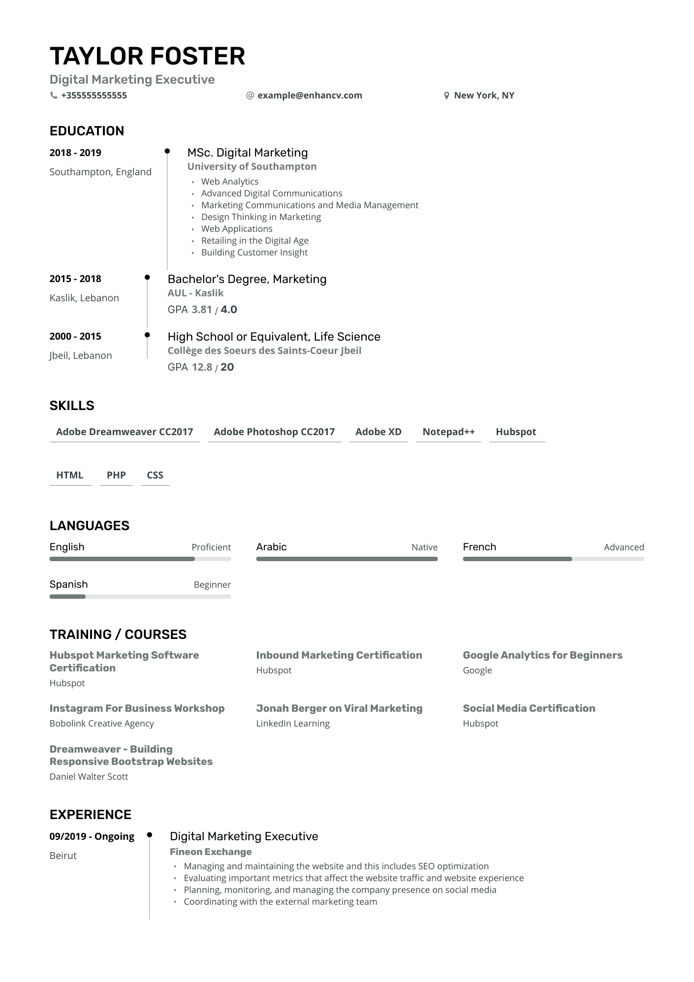 Digital Marketing Executive Resume Examples & Guide for 2023 (Layout ...