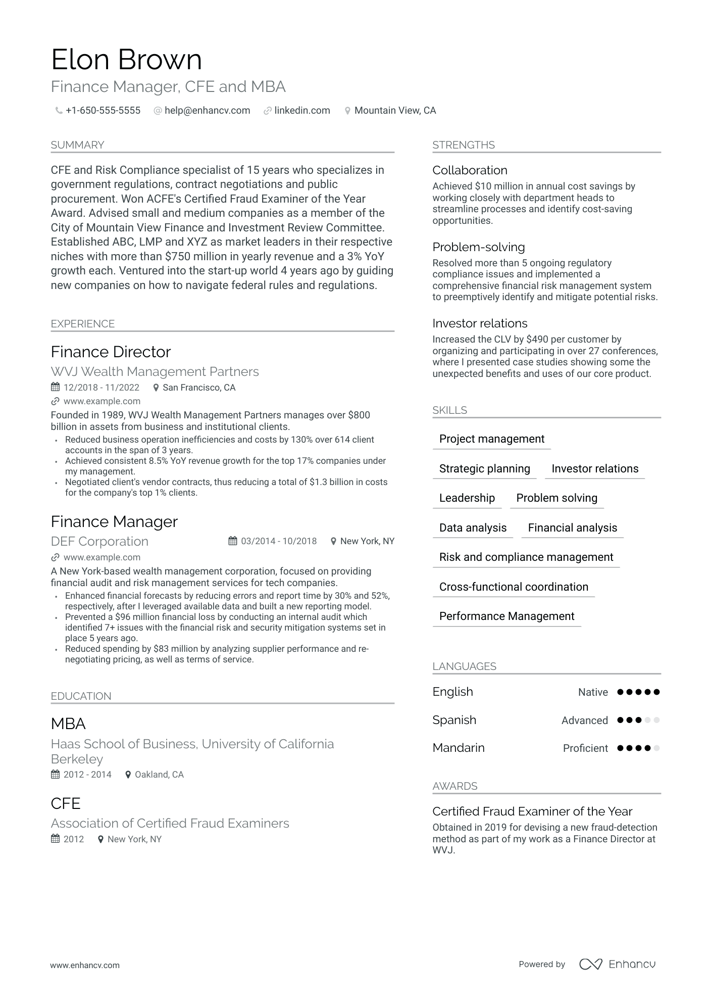 17 Executive Resume Examples & Guide for 2024