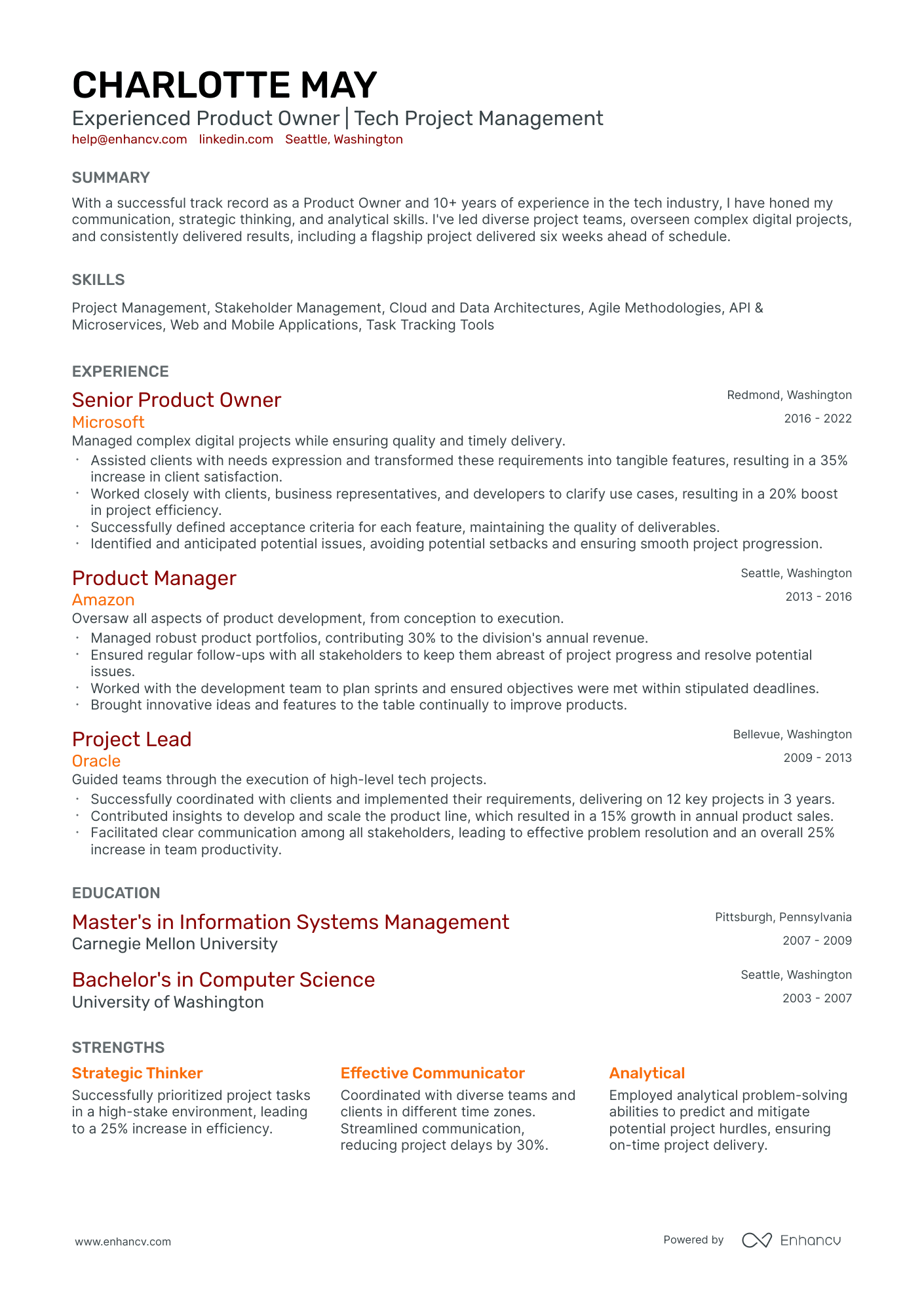 10 Product Owner Resume Examples & Guide for 2025