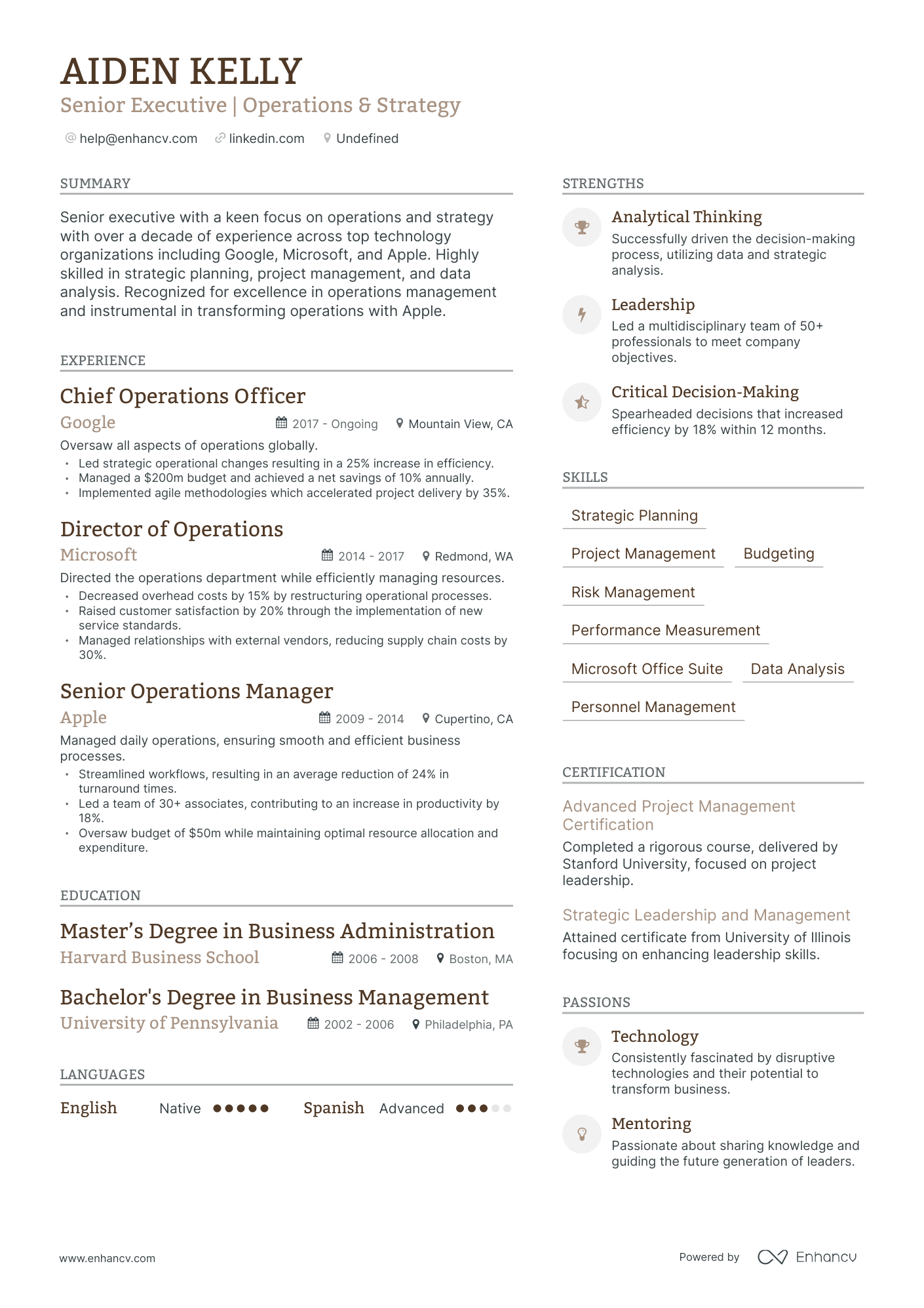 5 Board of Directors Resume Examples & Guide for 2024