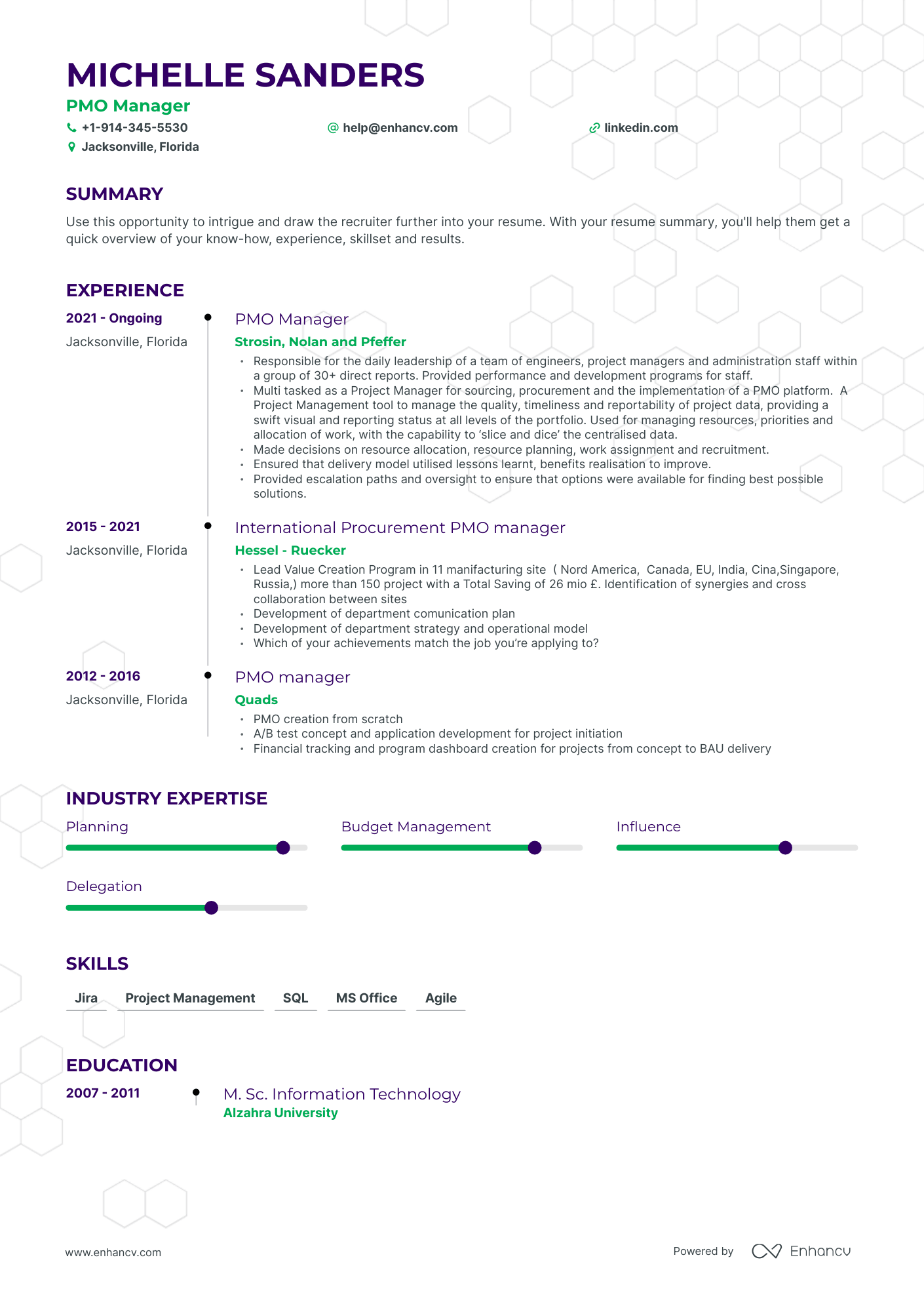 PMO Manager Resume Examples & Guide for 2023 (Layout, Skills, Keywords ...