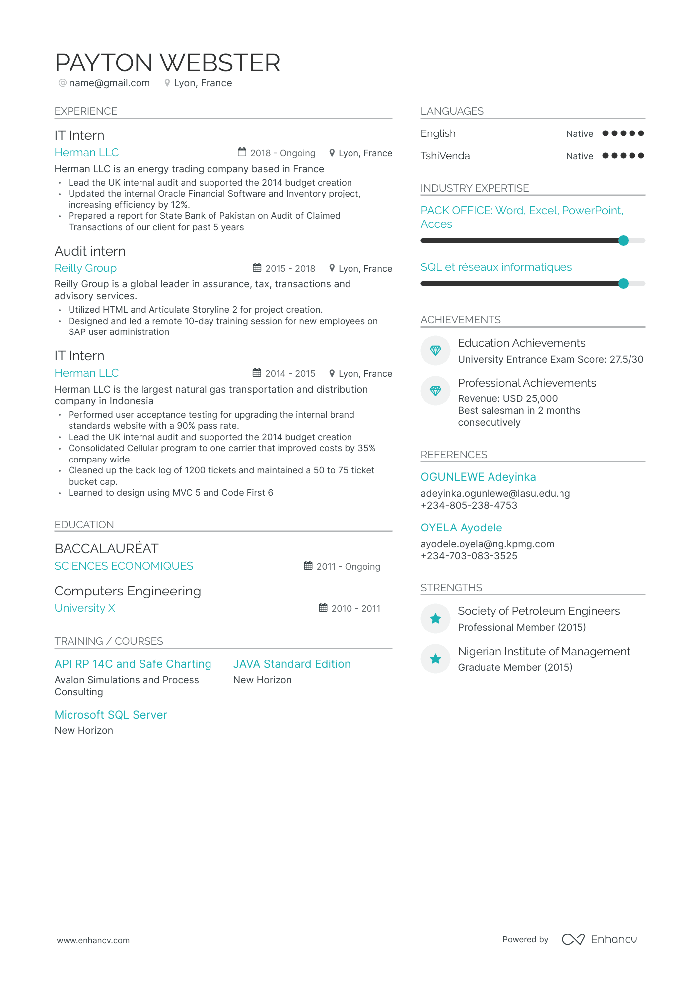 5 IT Resume Examples & Guide for 2024