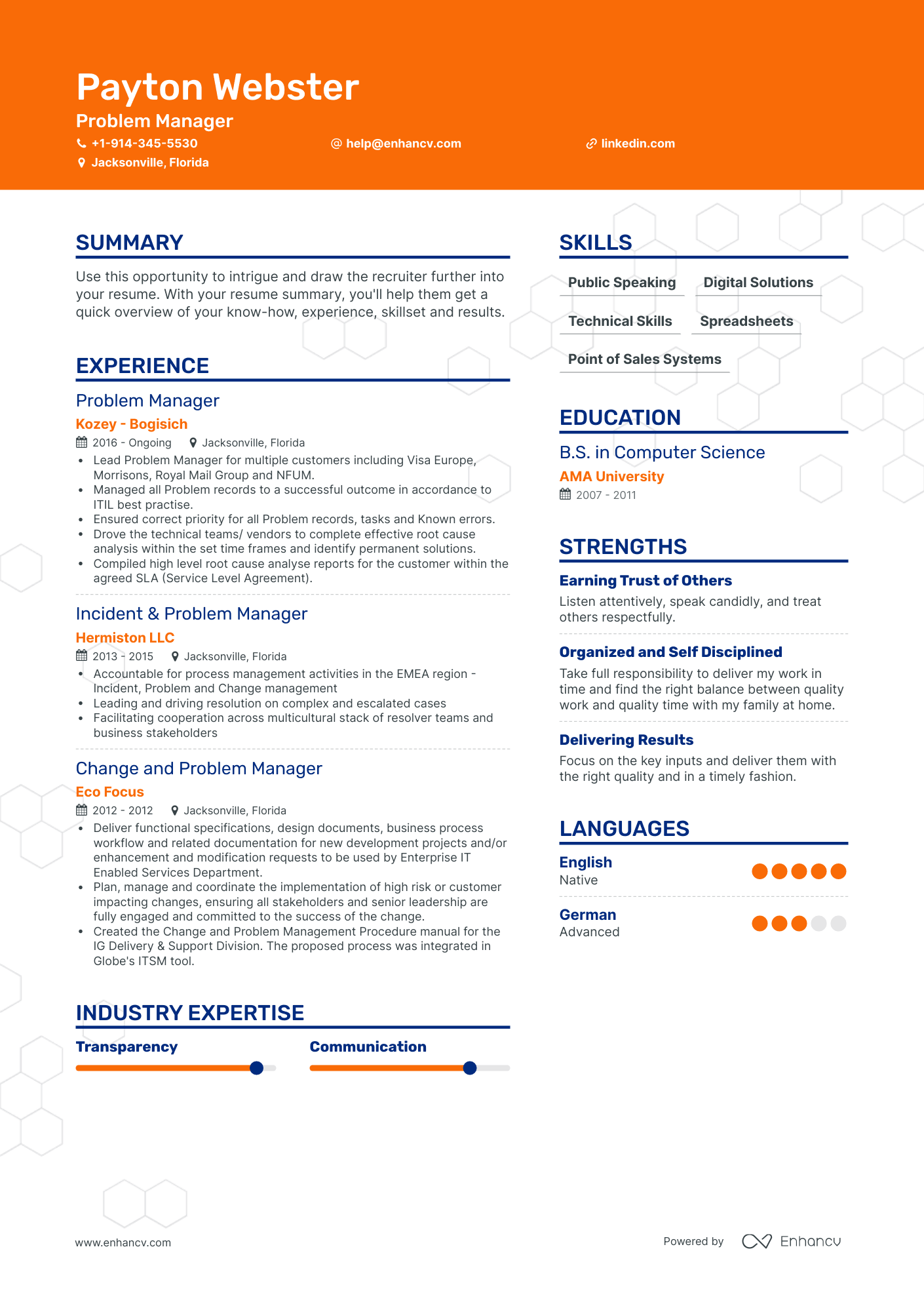Problem Manager Resume Examples & Guide for 2023 (Layout, Skills ...
