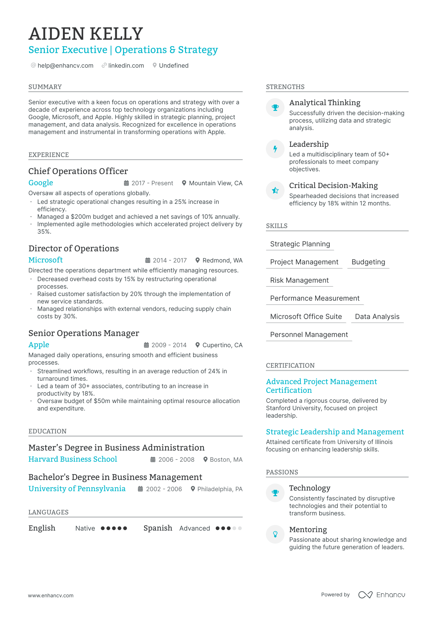 5 Board of Directors Resume Examples & Guide for 2024