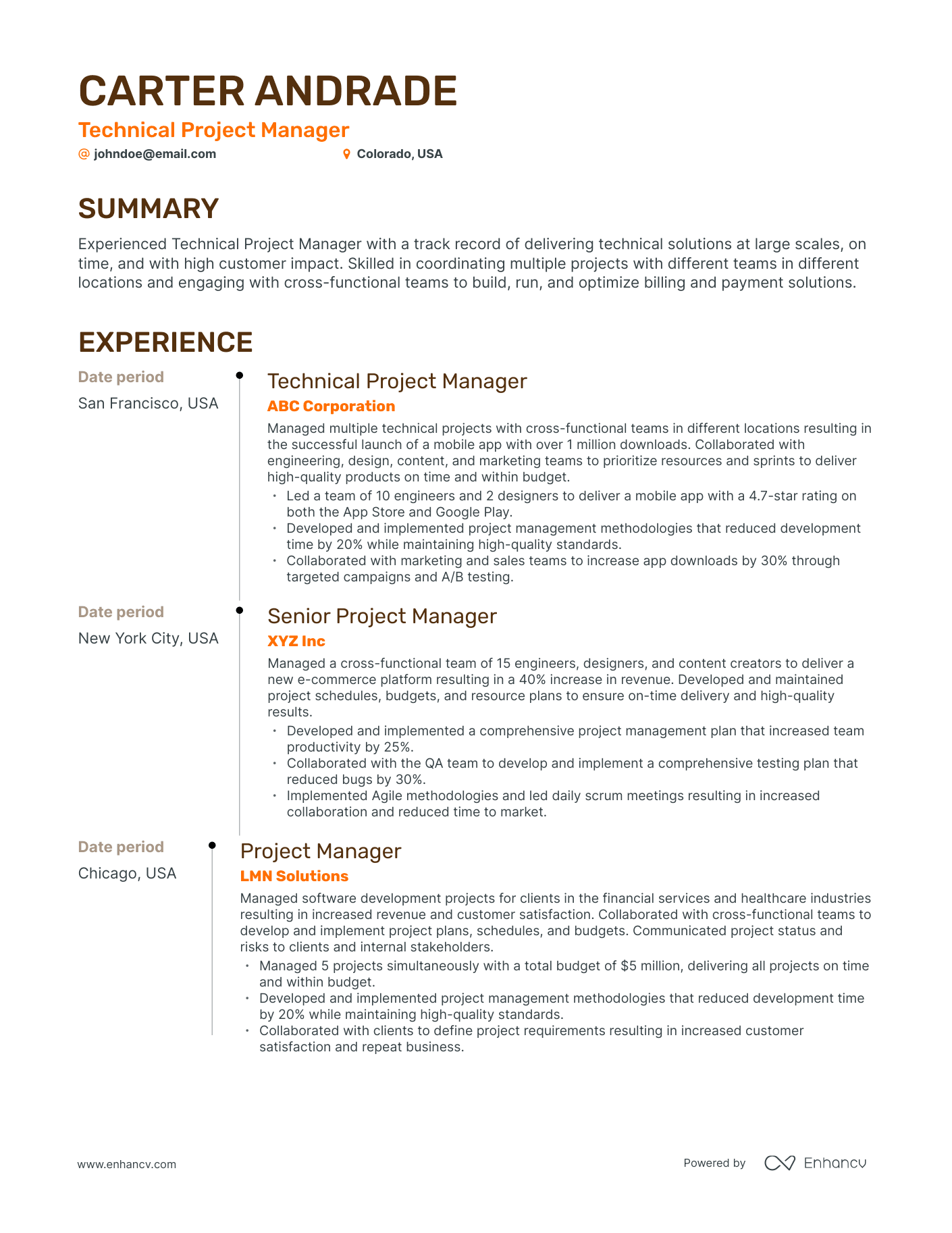 5 Technical Project Manager Resume Examples & Guide for 2024