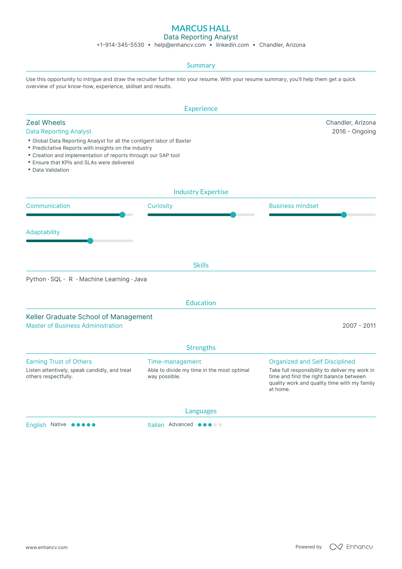 Data Reporting Analyst Resume Examples & Guide for 2023 (Layout, Skills ...