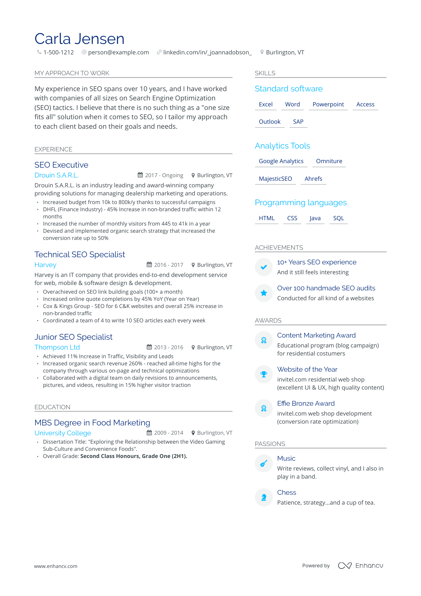 3 SEO Resume Examples & Guide for 2023