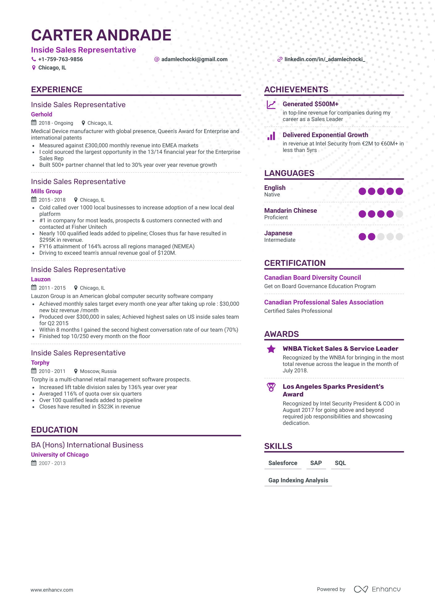 5 Inside Sales Resume Examples Guide For 2024