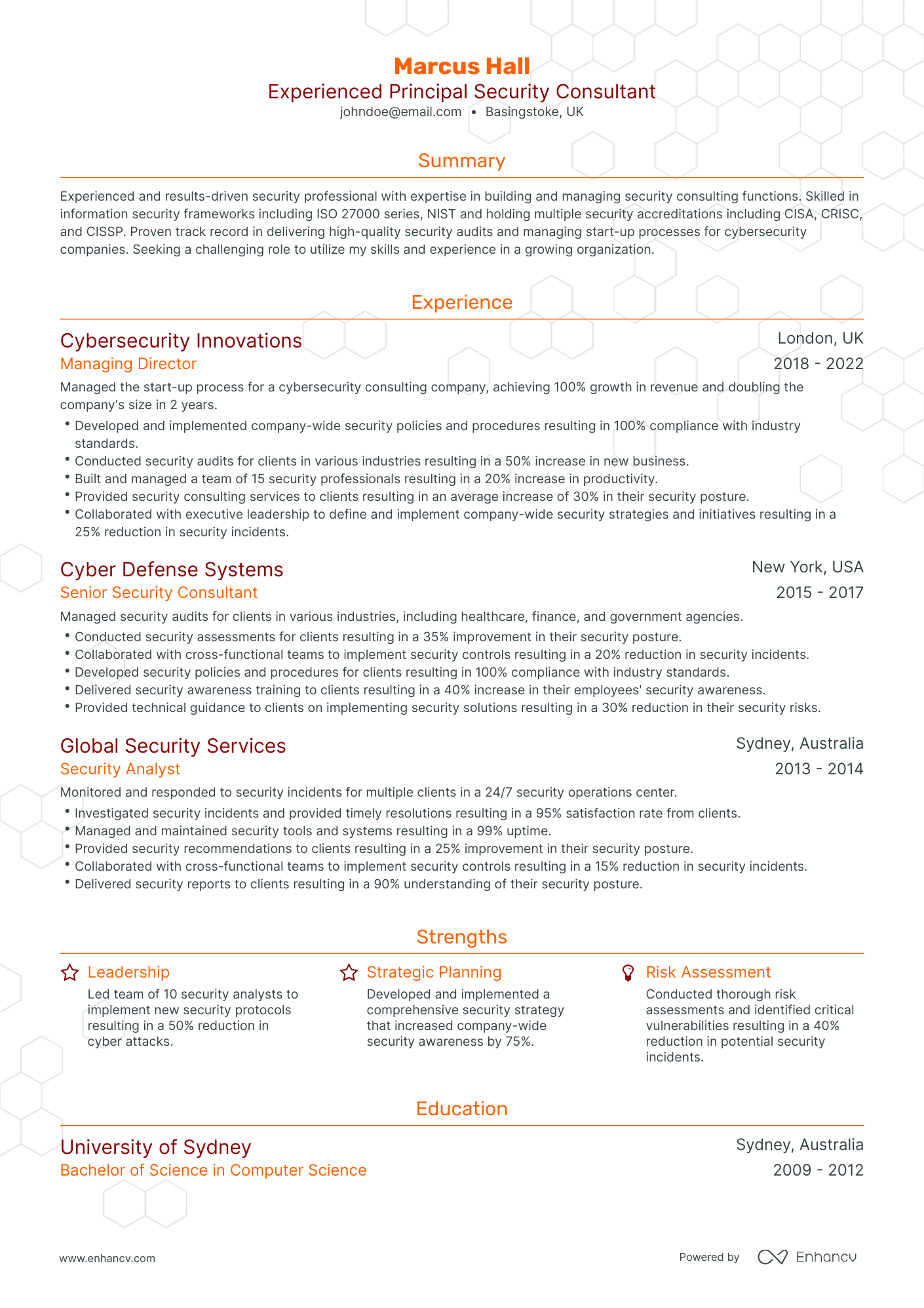 5 Security Director Resume Examples & Guide for 2024